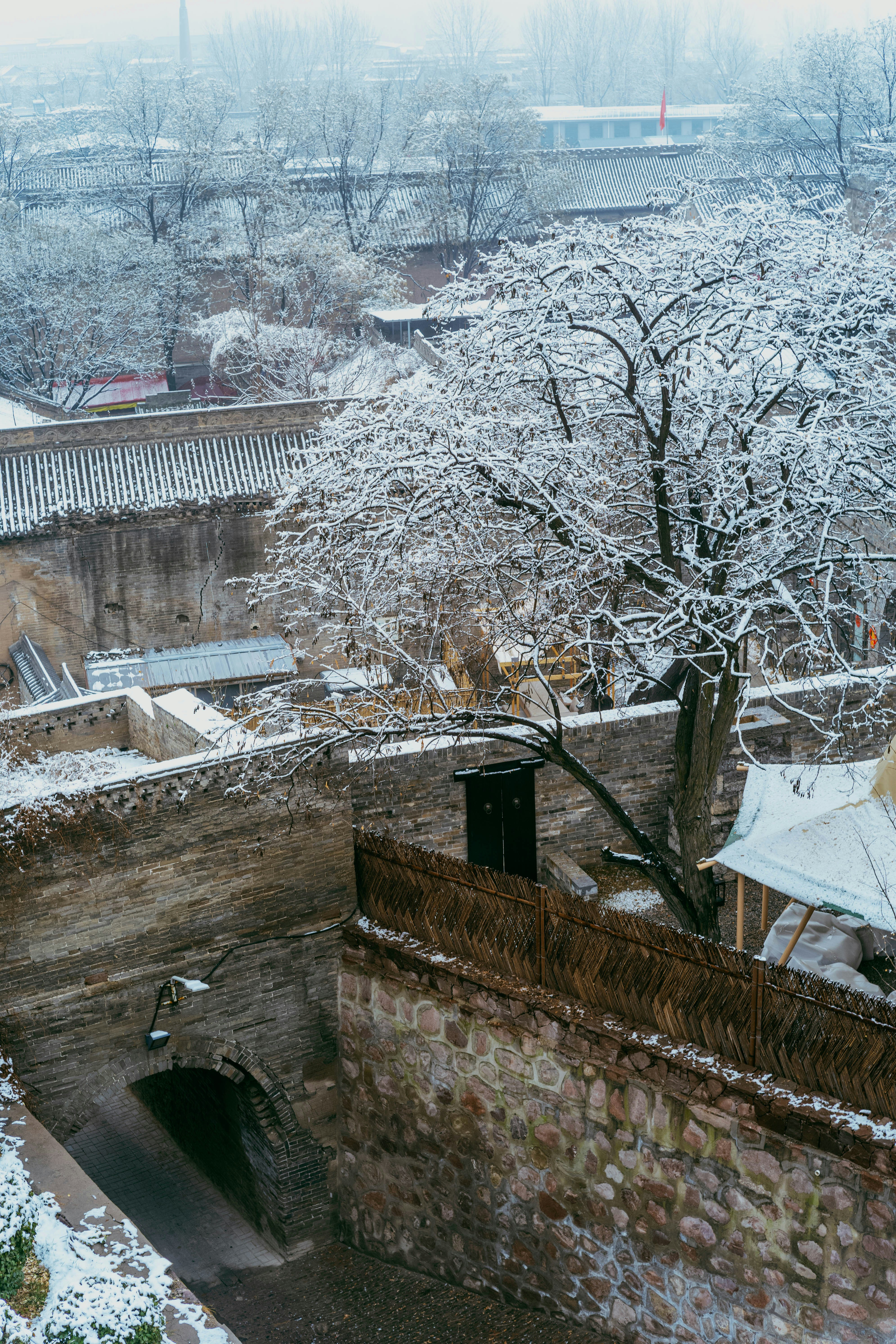 Snow-Kissed Courtyard’s Silent Guard