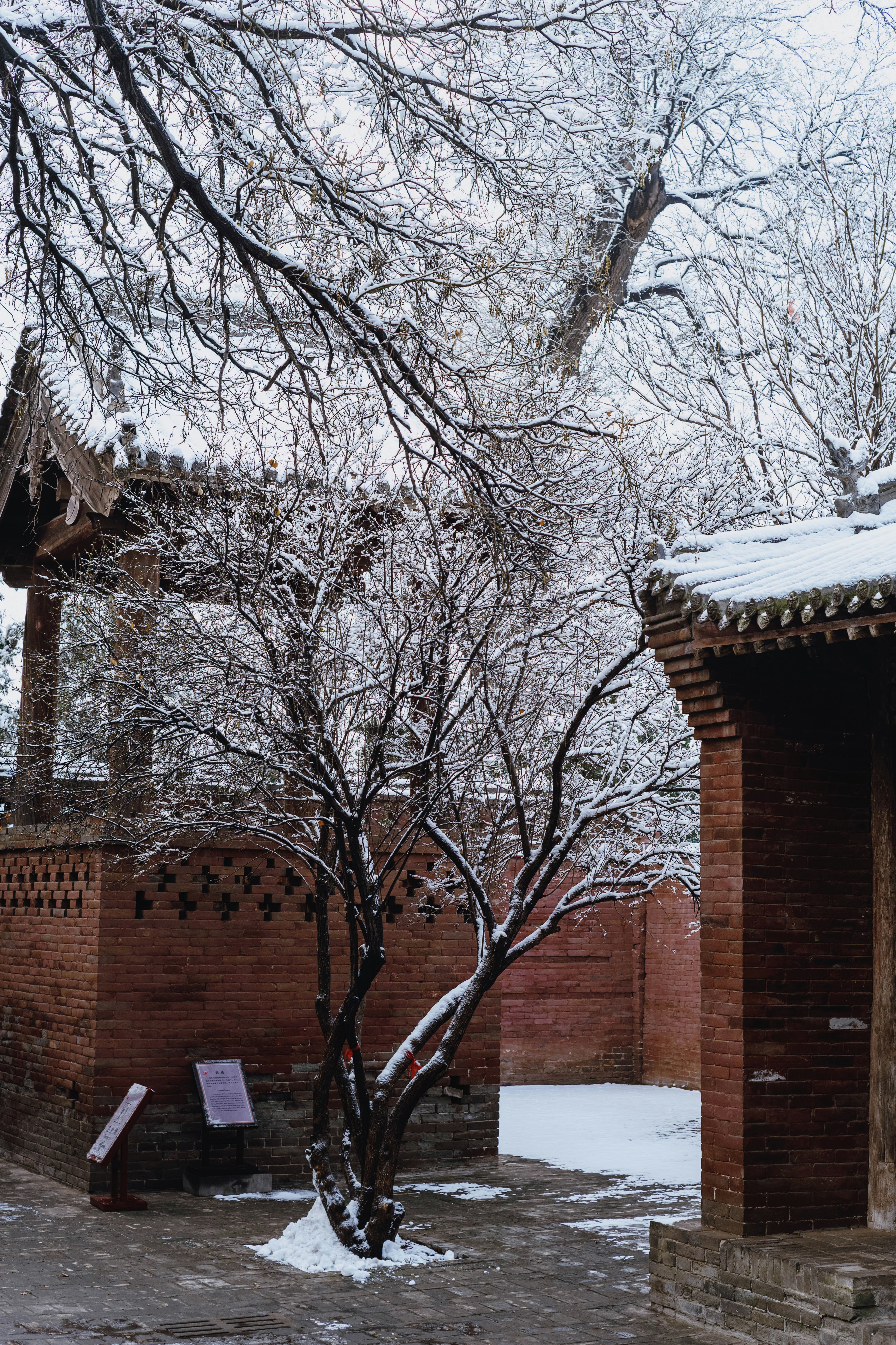 Snow‑Capped Courtyard: A Quiet Moment Between Brick Walls