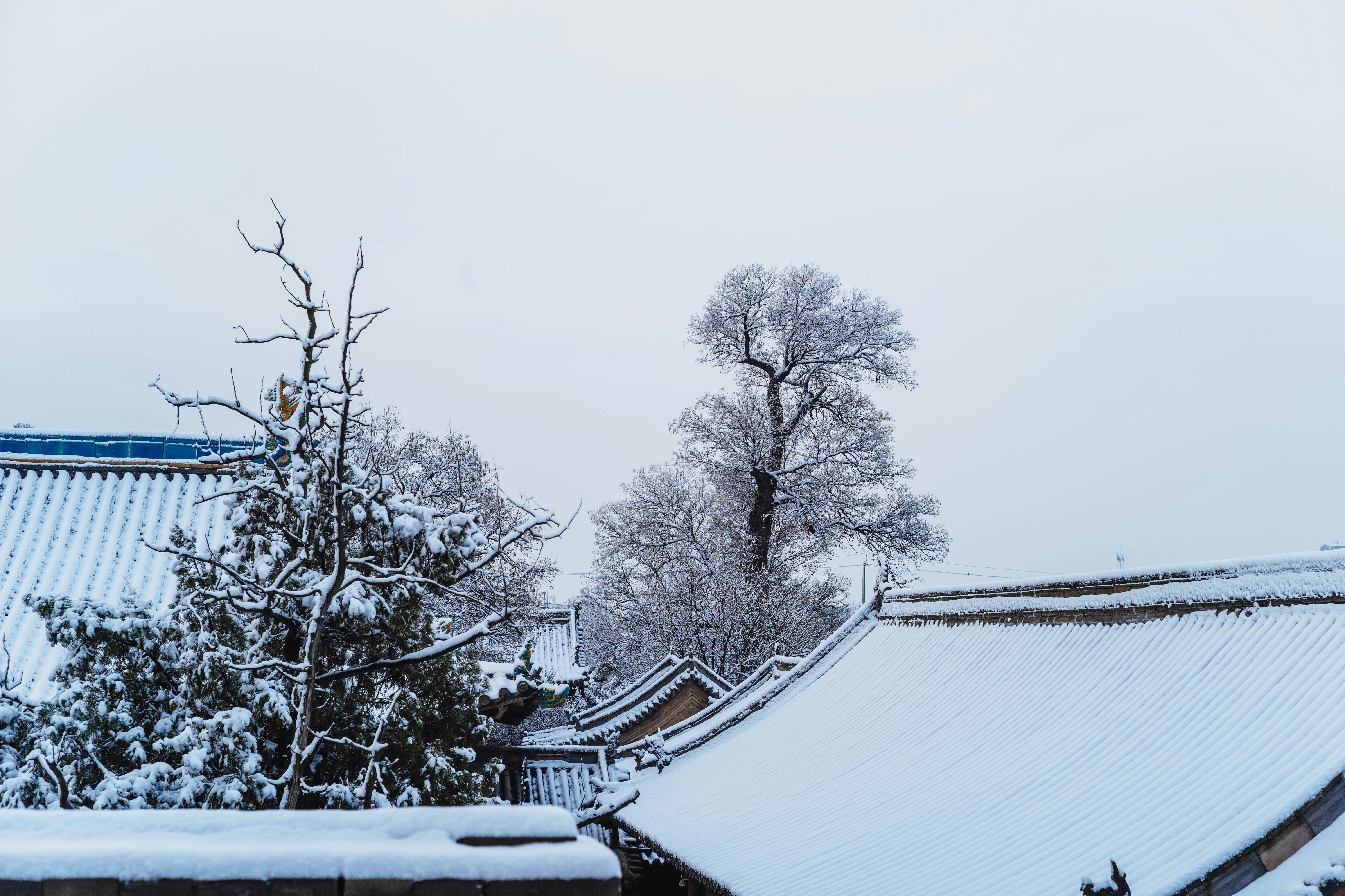 Snow-Blanketed Rooflines and Silent Sky
