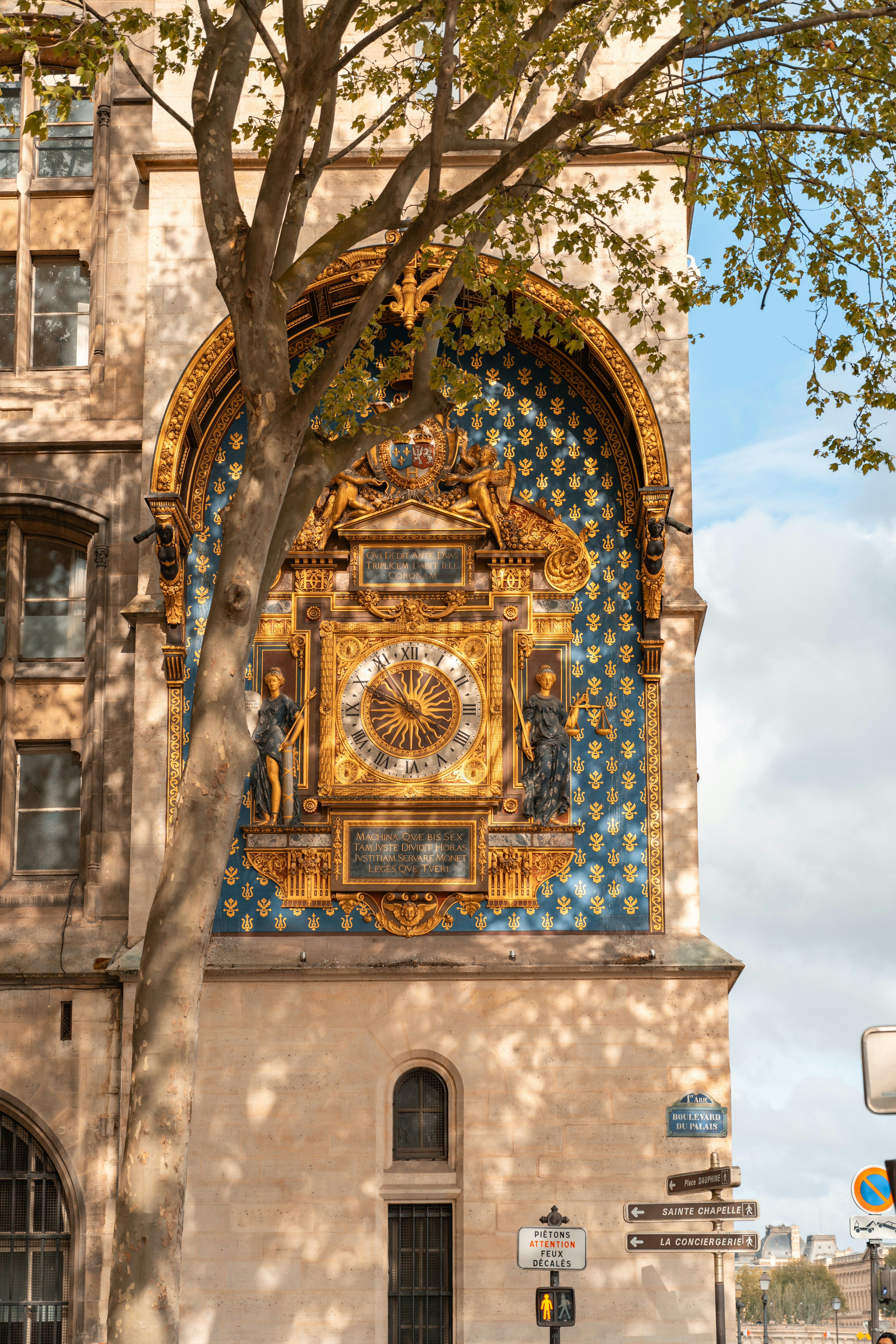 Ornate Clock Facade Framed by a Leafy Street Tree