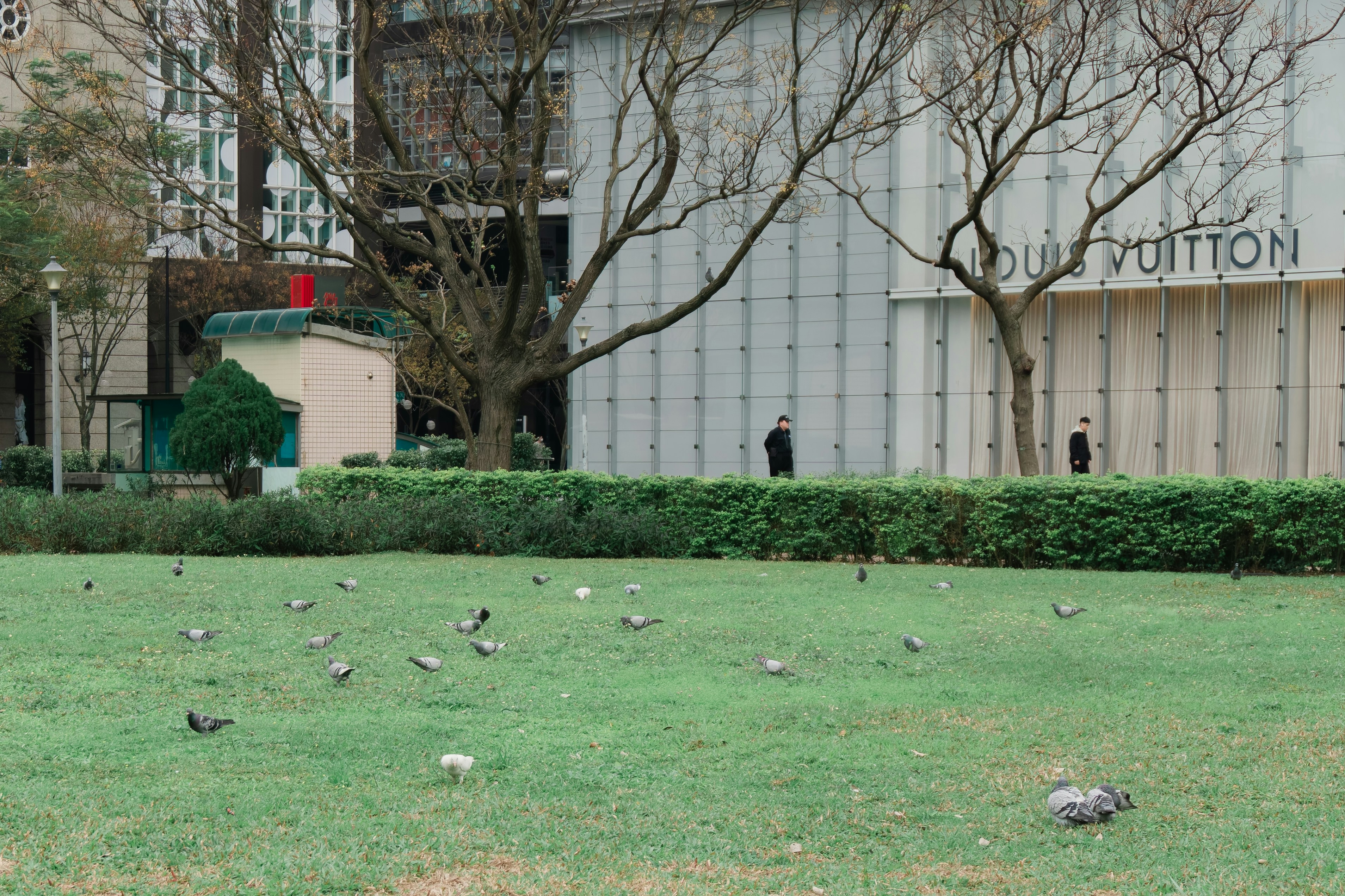 Urban Park in Front of a Luxury Storefront