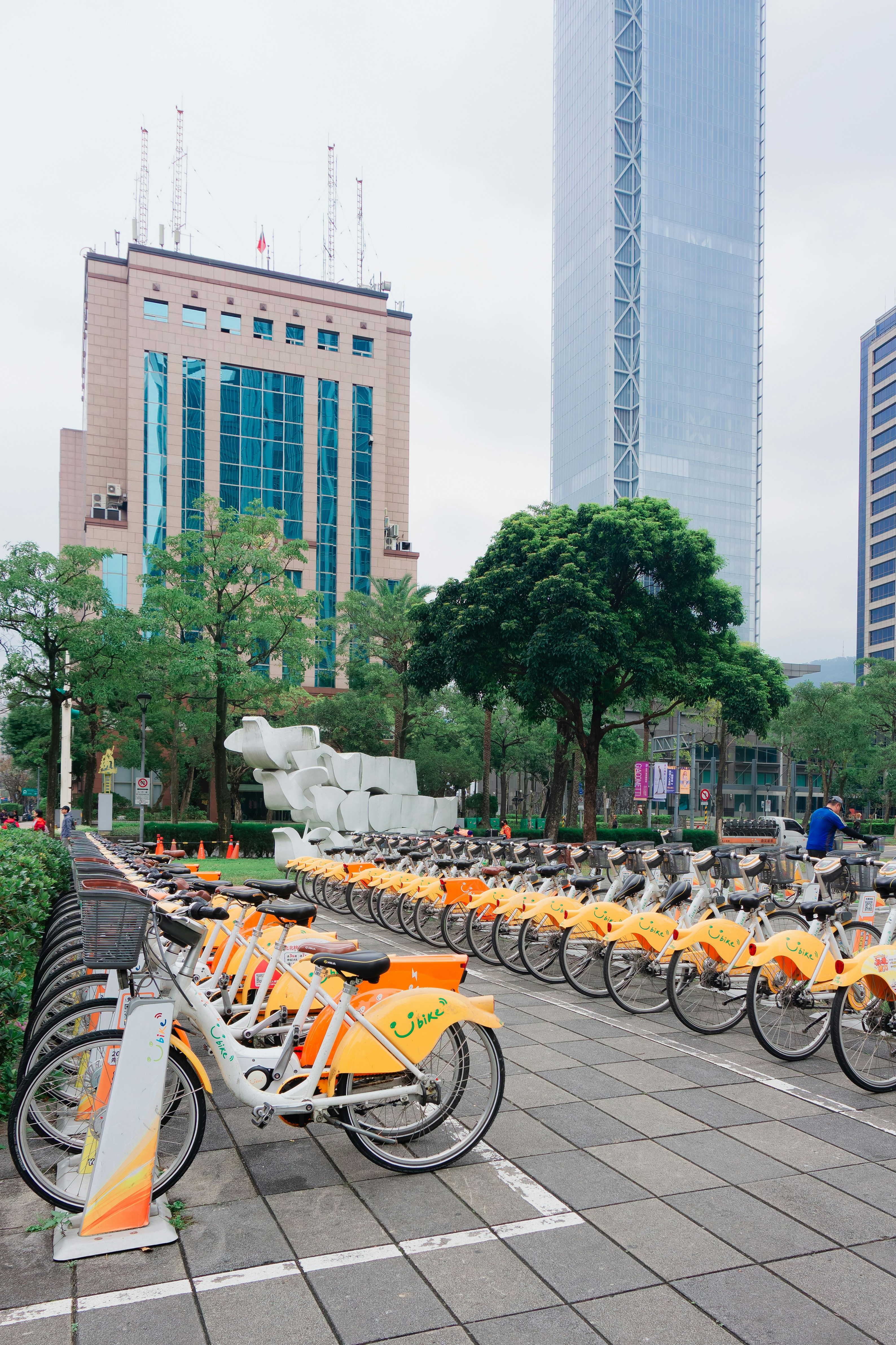 Orange-Bordered Bicycle Row Beneath a Modern Skyline