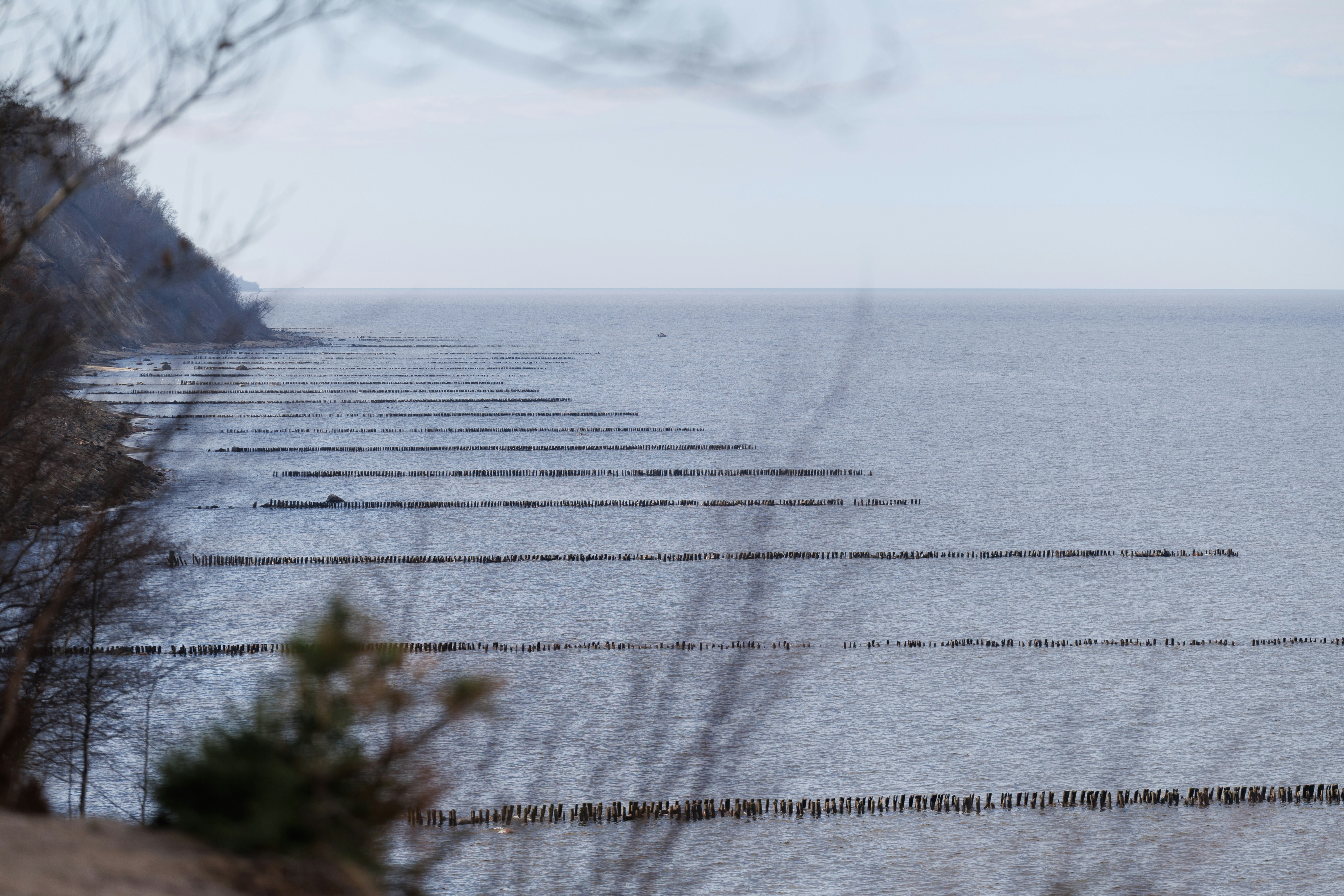 Lines of Light on a Quiet Sea