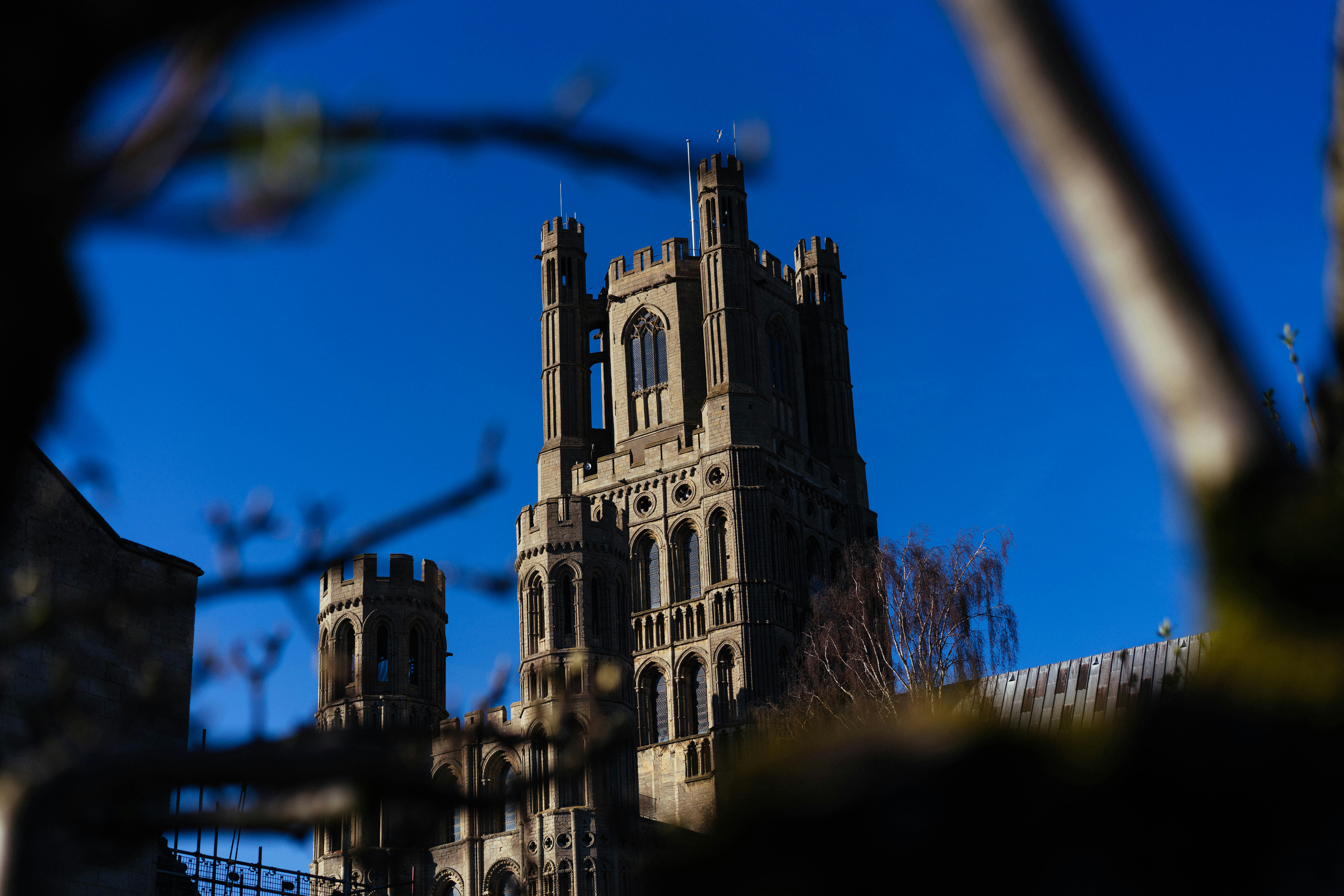Tower through the Frame: Gothic Landmark Framed by Branches