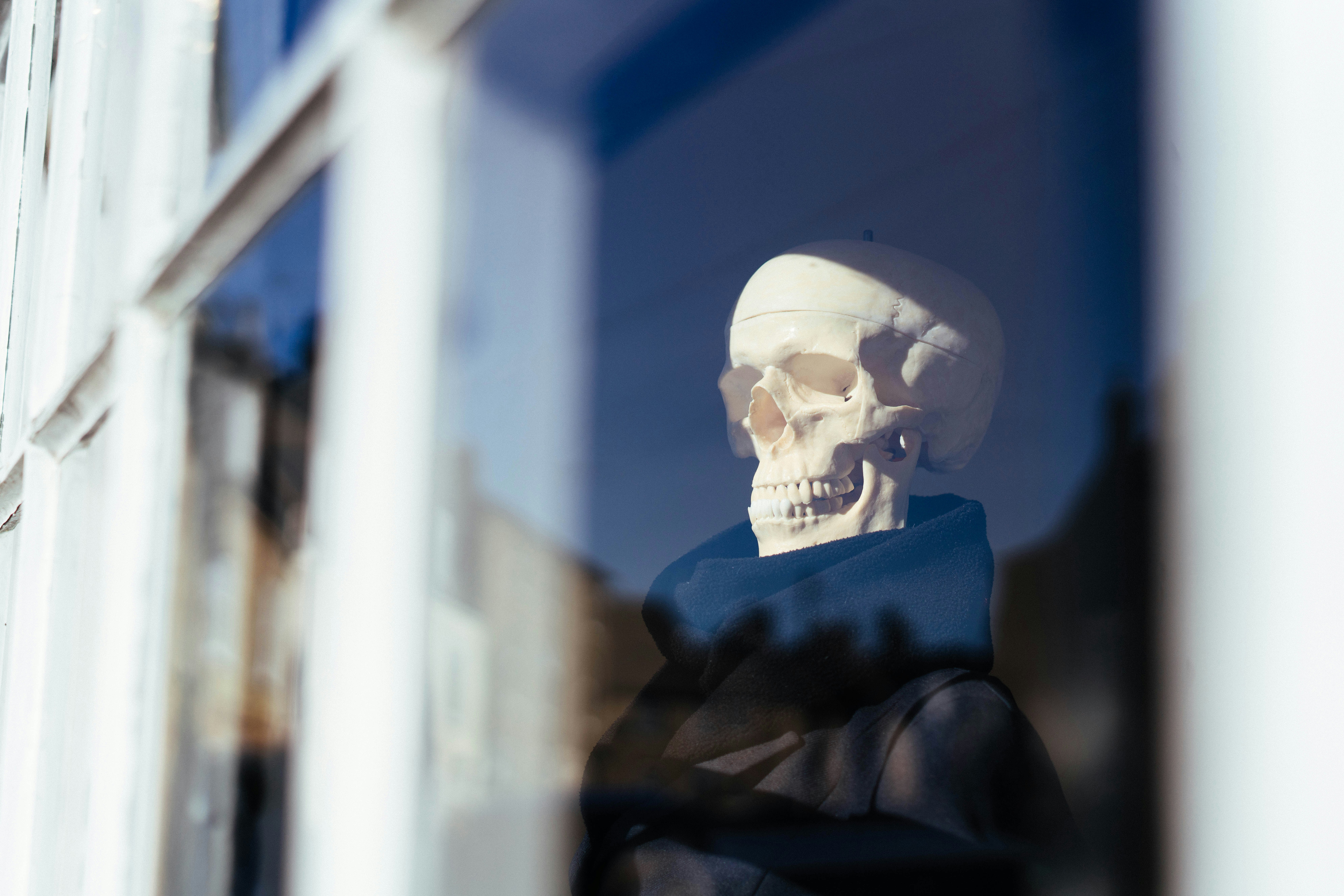 Skeleton in the Window: A Quiet, Hollow Gaze Echoing Through Glass