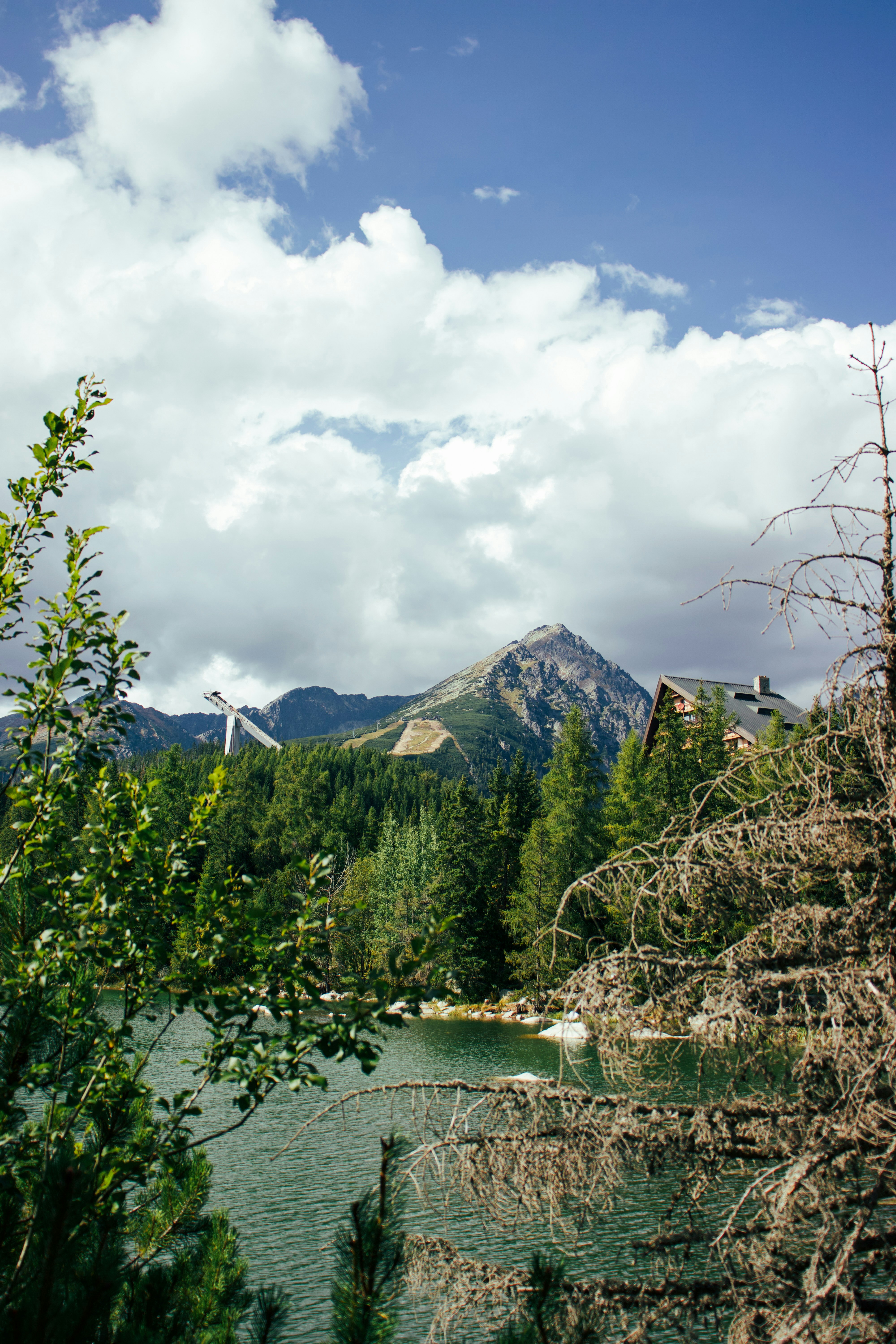Mountain Lake Vista: Peaks Emerging Beyond Pine and Sky