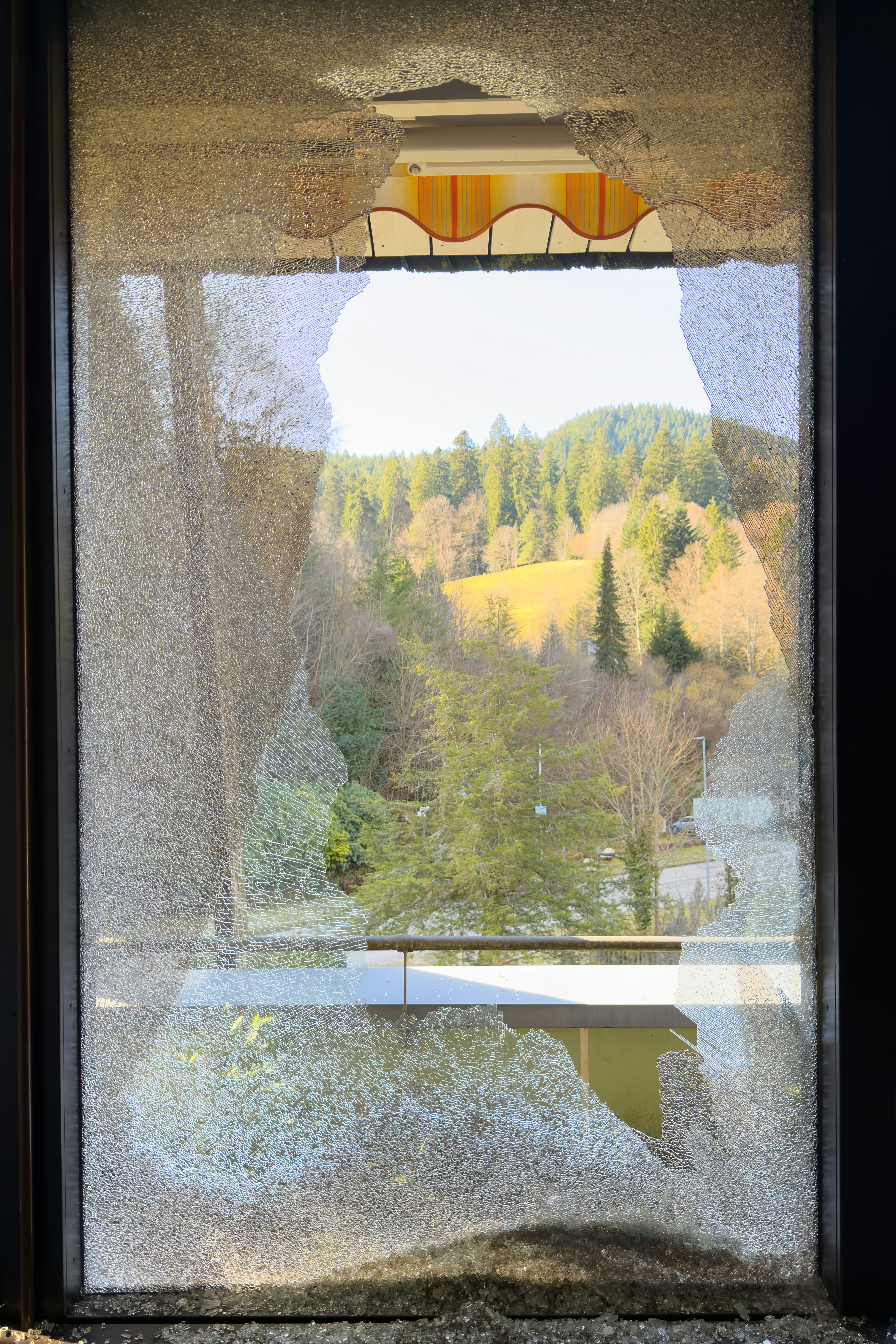 Fragmented Glass, Quiet Valley: A Doorway to the Woods