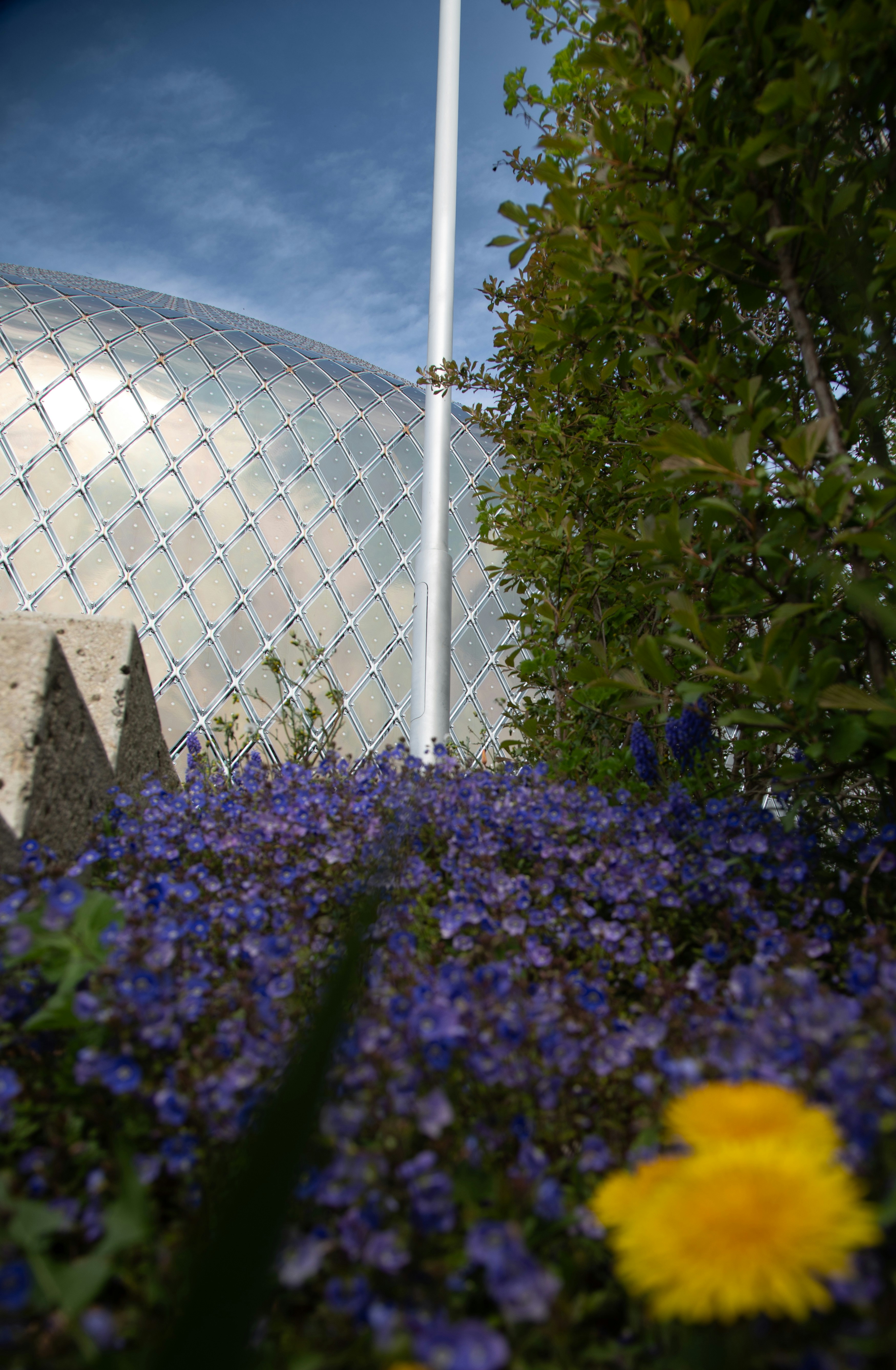 Bluebells and a Silver Mesh Dome Framed by Green Foliage