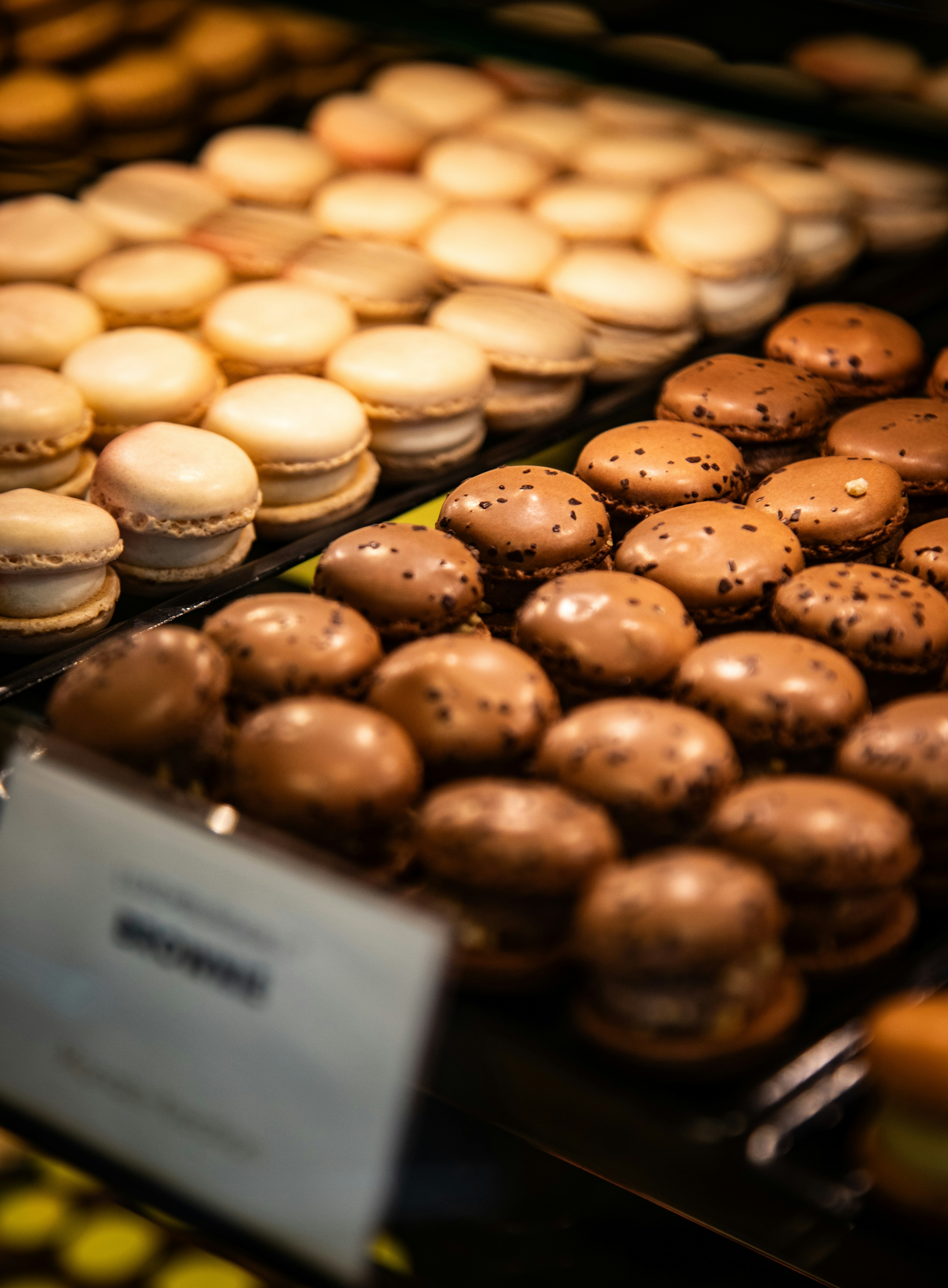 Rows of Sweet Chocolate: An Assortment of Macarons in Warm Light