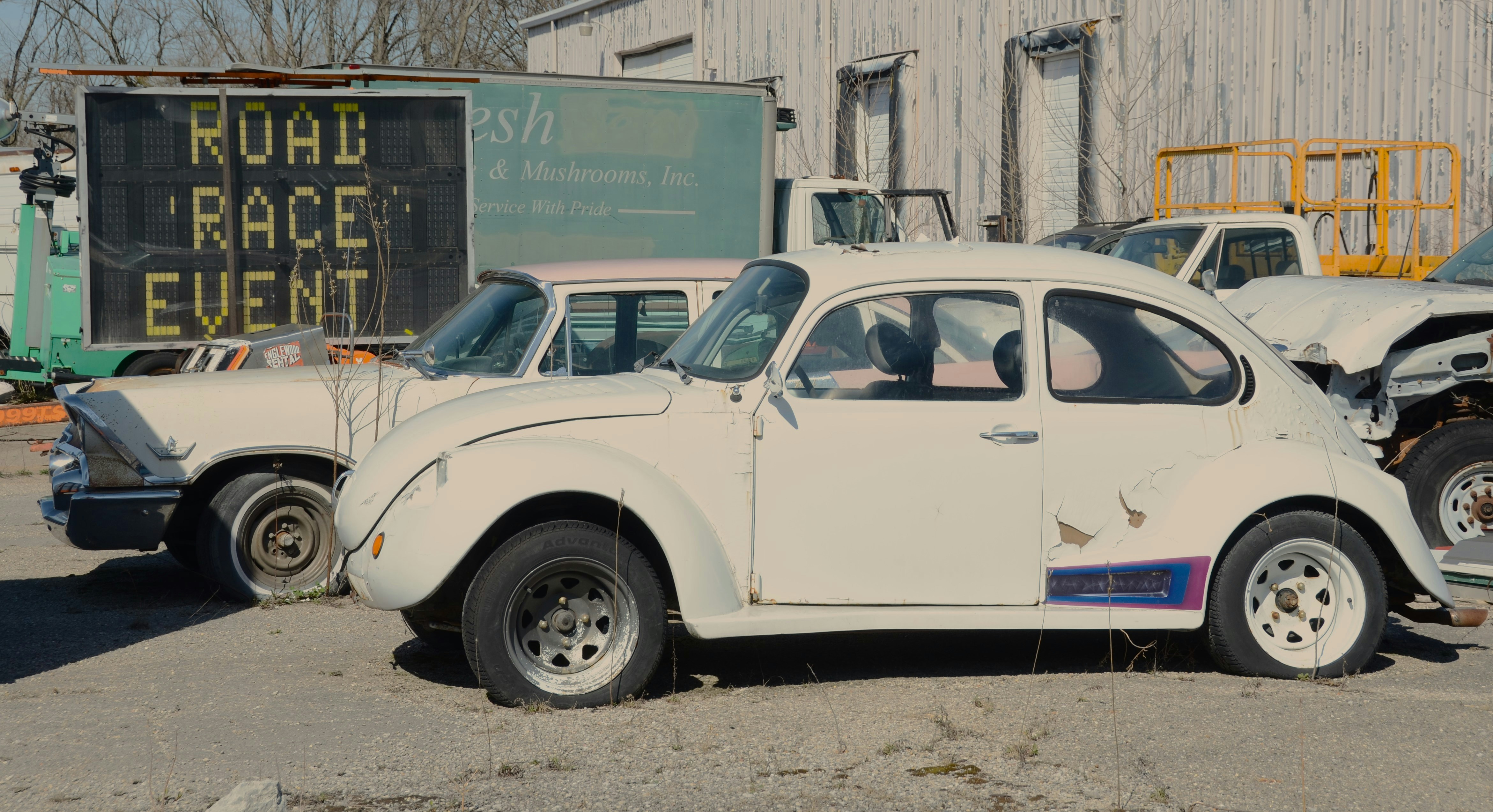 Vintage White Beetle Among Rusting Relics at a Desert Scrap Yard