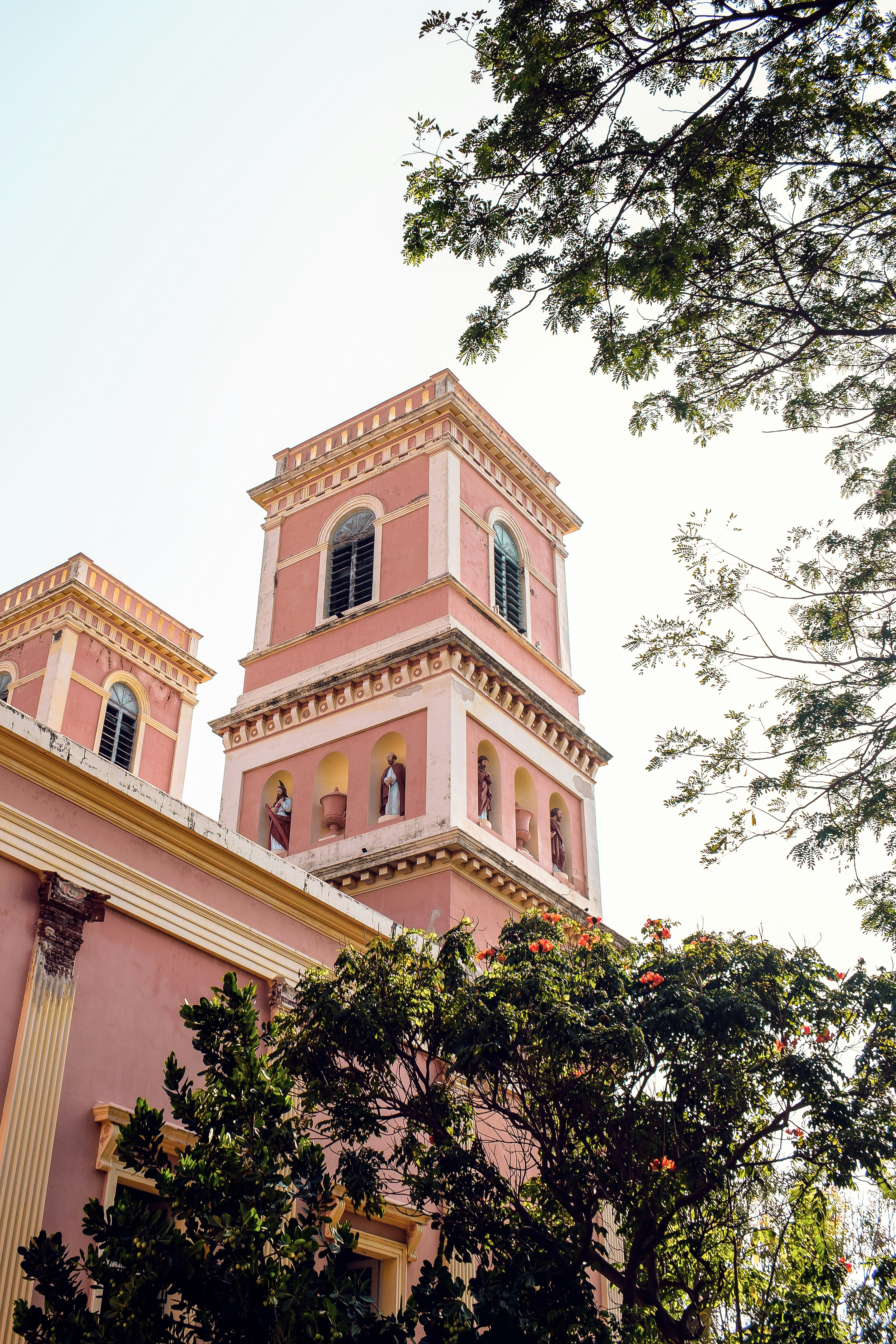 Pink Bell Towers Rise Above Bougainvillea and Bright Sky