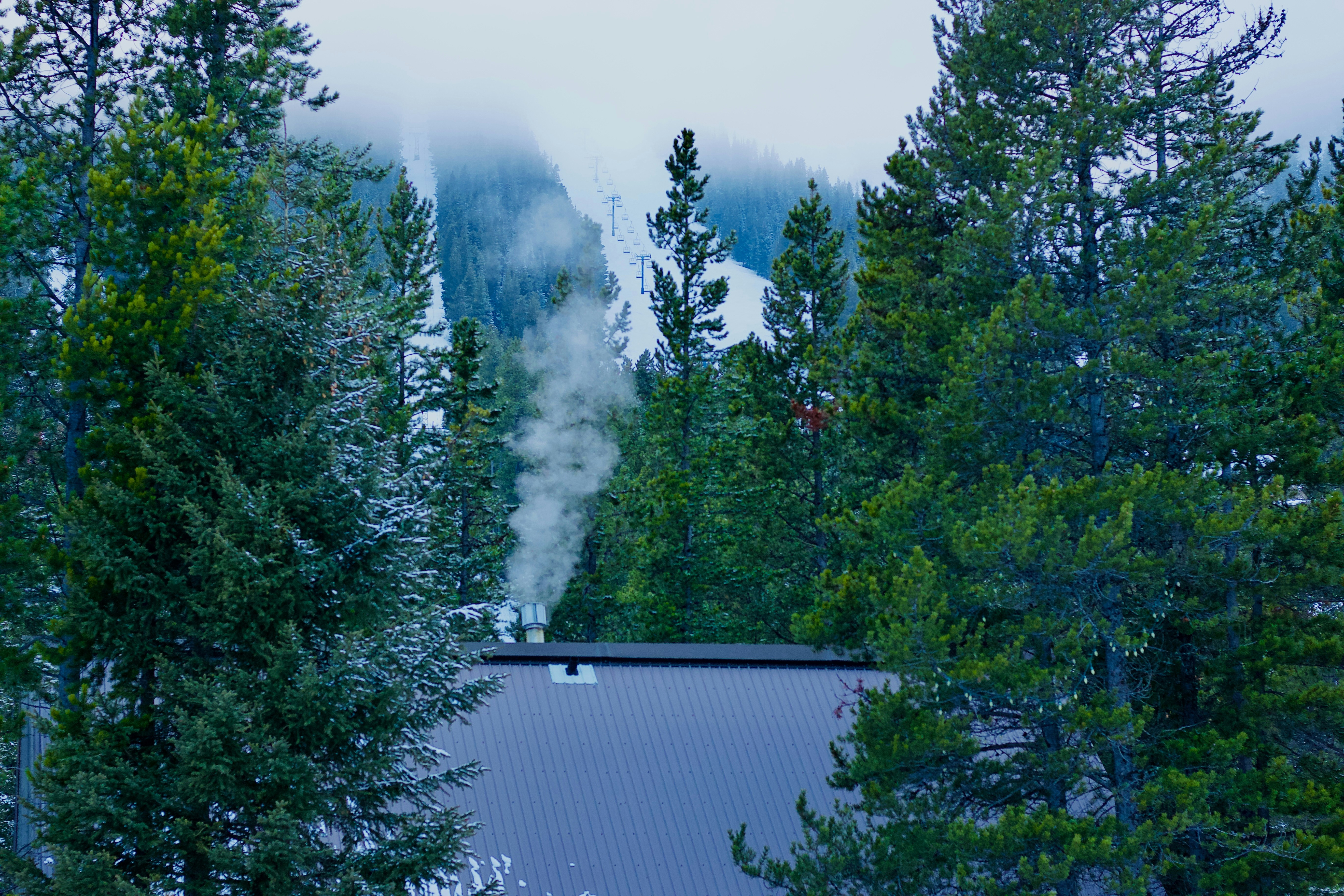 Hidden Chimney in the Pines