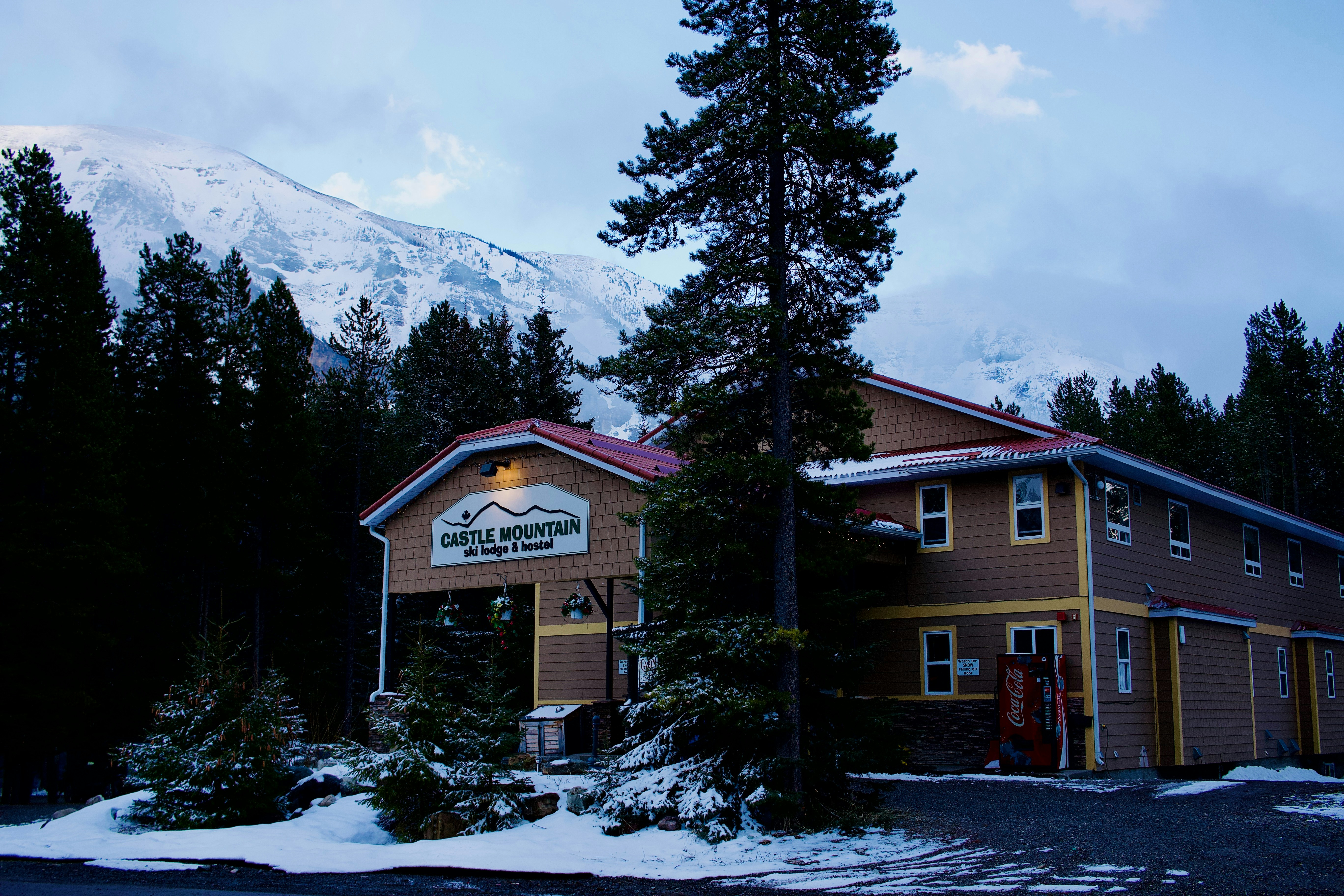Castle Mountain Lodge in Snowy Pines