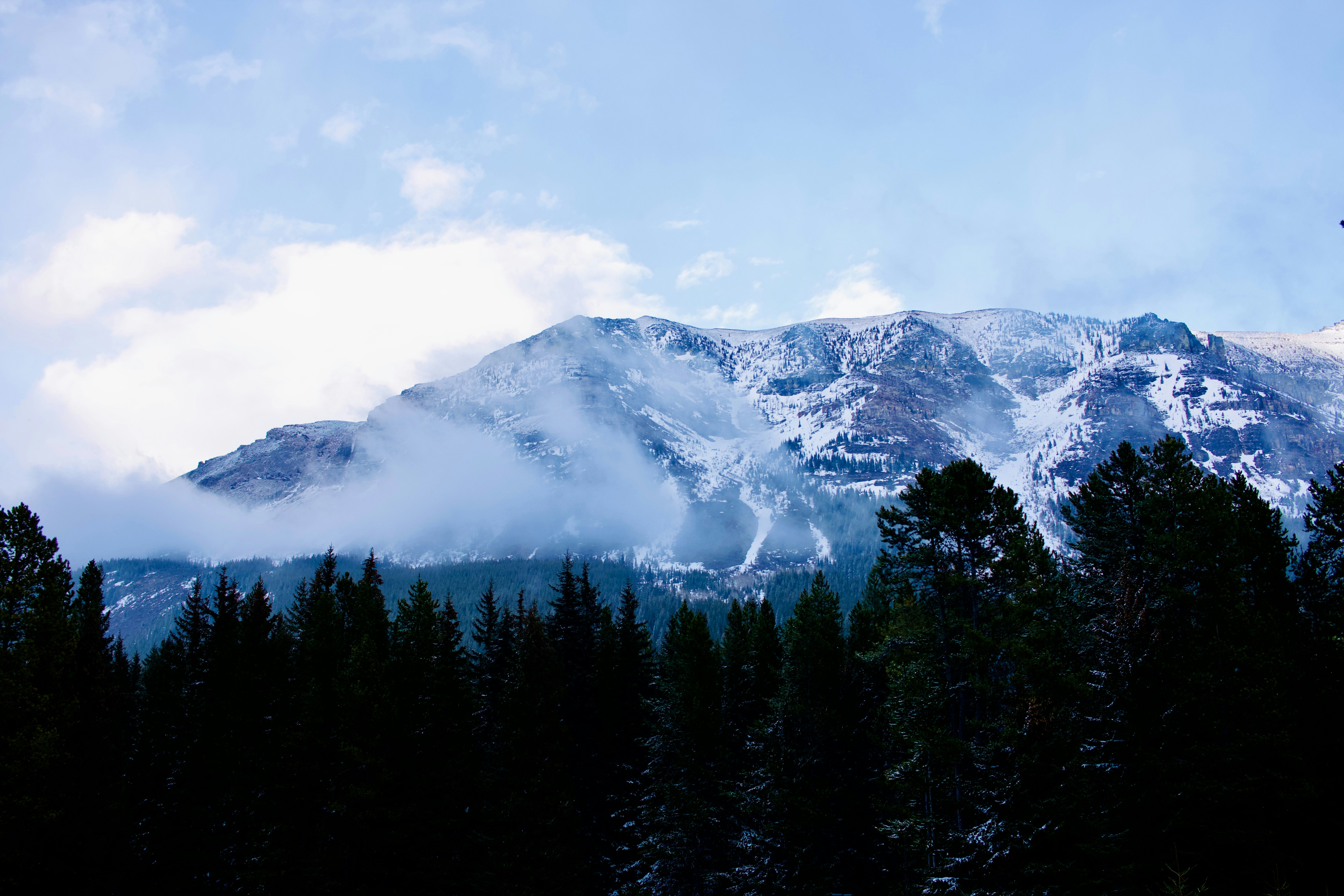 Snow-kissed Peaks Over a Timbered Baseline