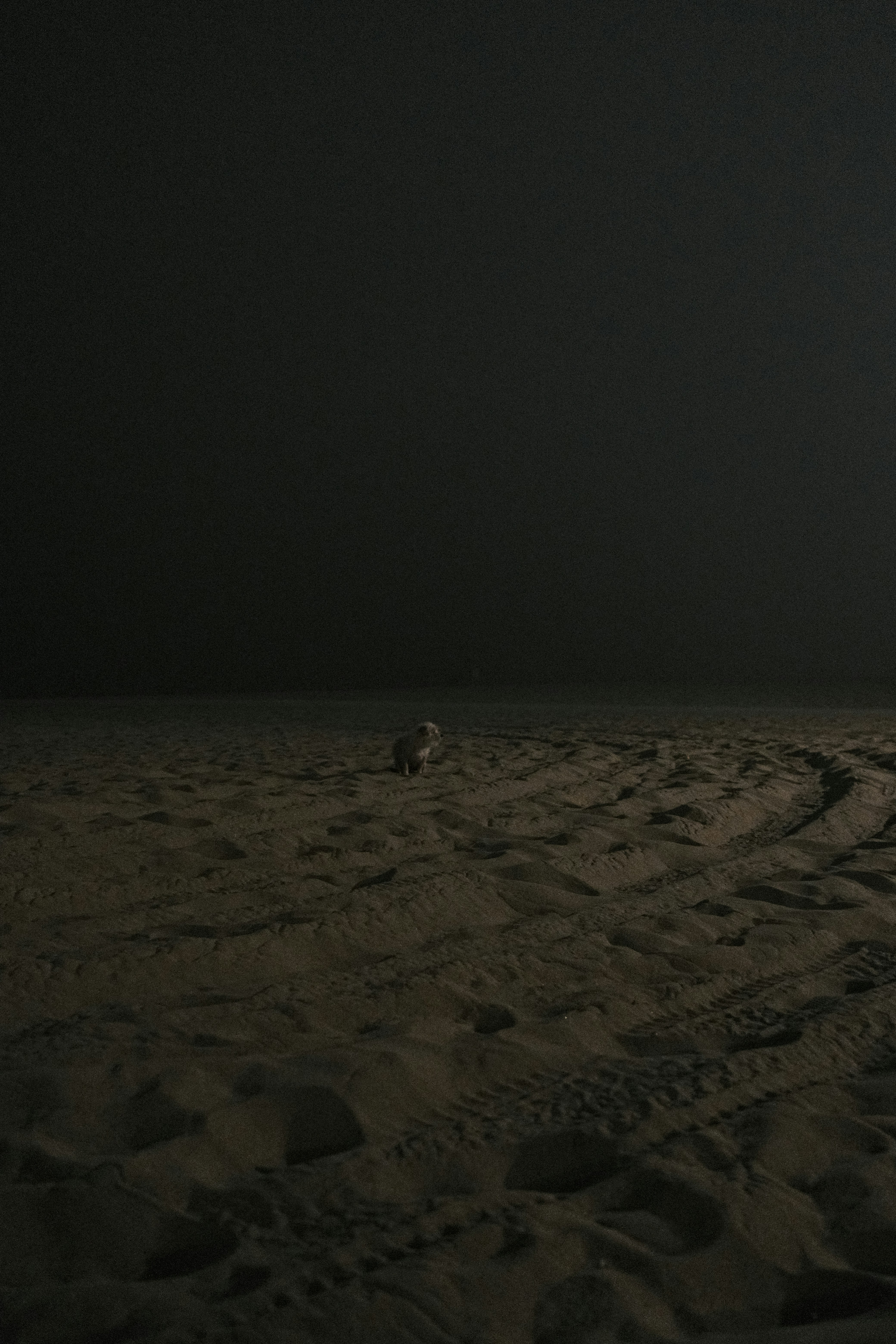 Moonlit Dune: A lone figure on the horizon