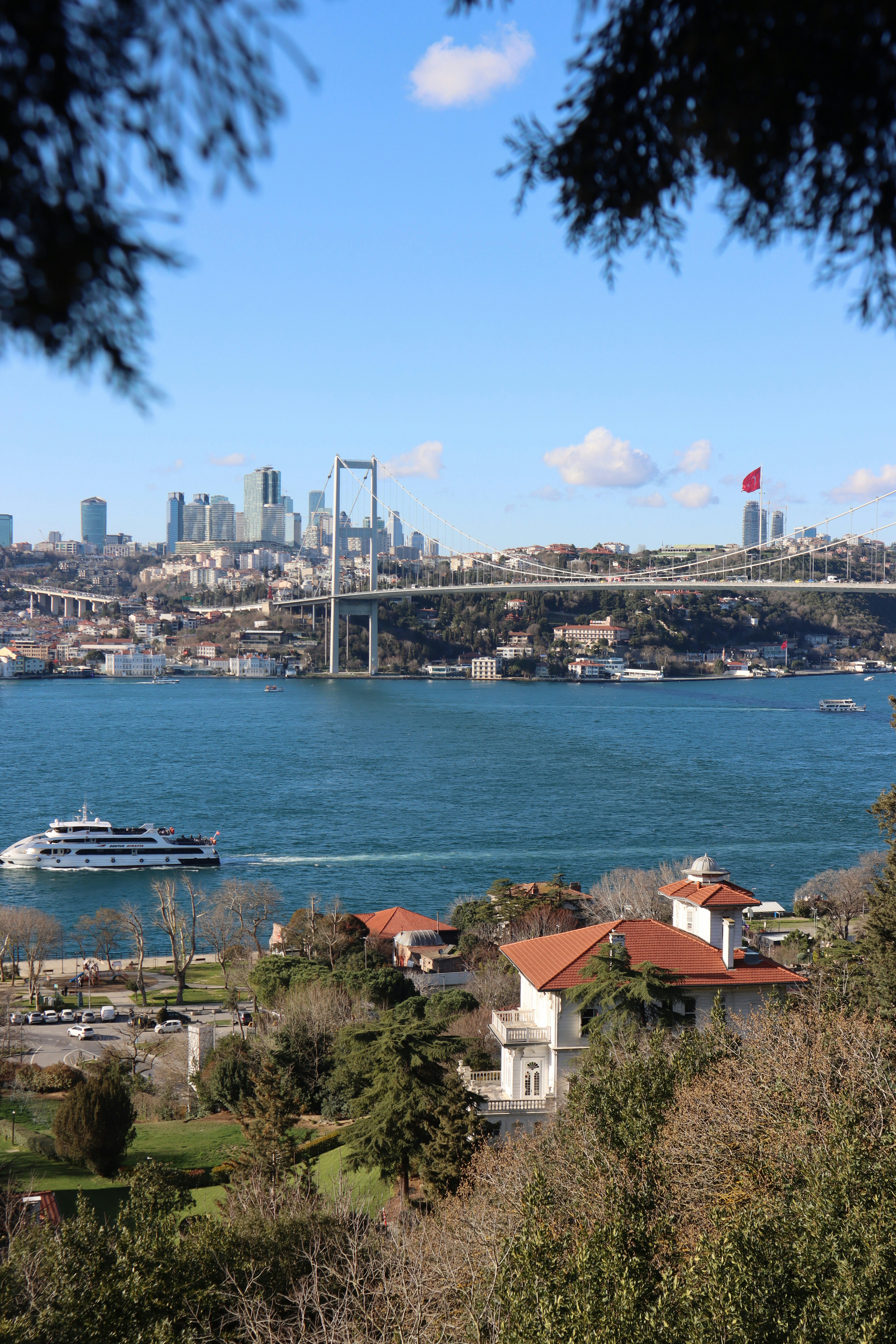 City by the Bay: Waterfront, Bridge, and Hillside Skyline
