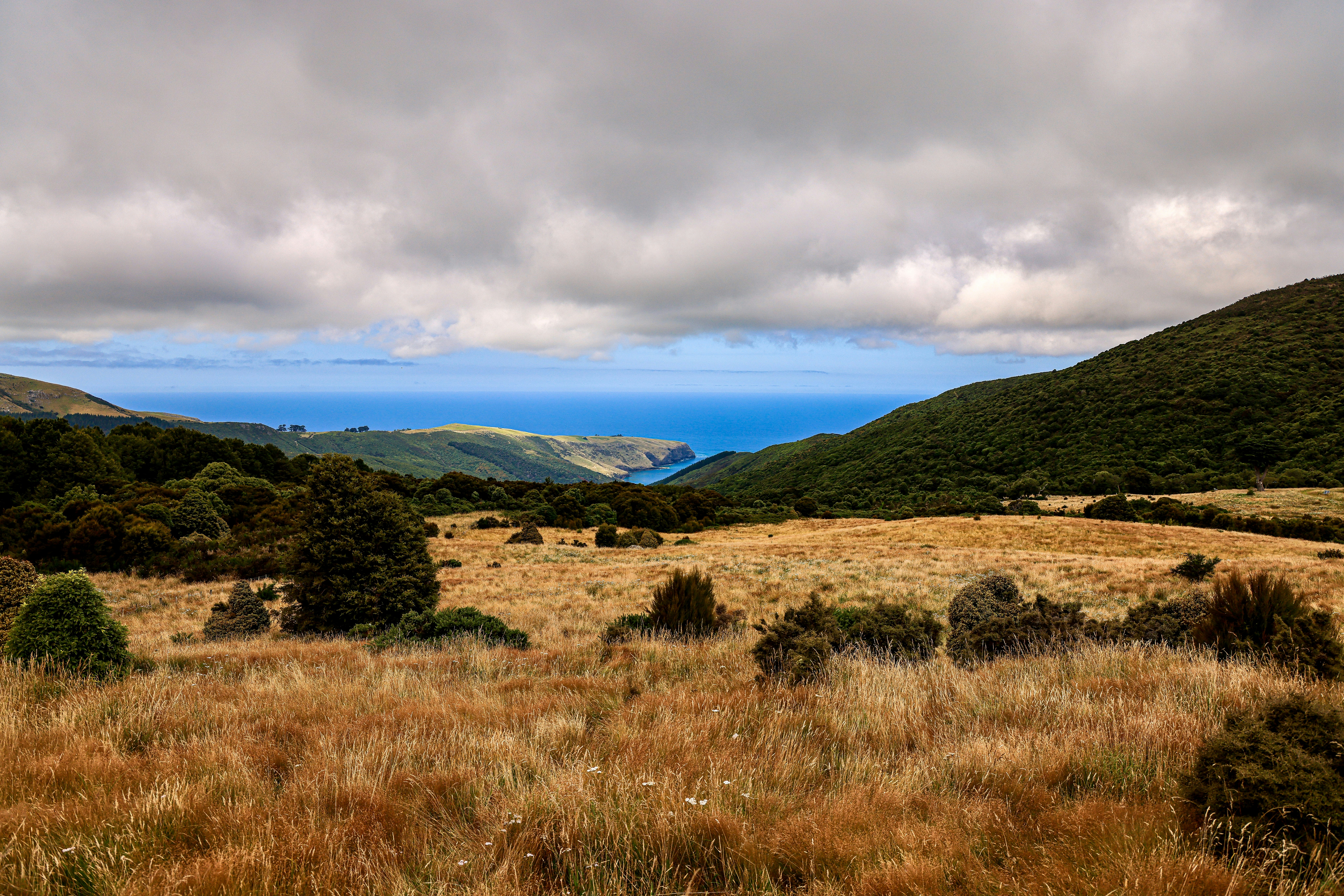 Coastal Plain Beneath Rolling Hills