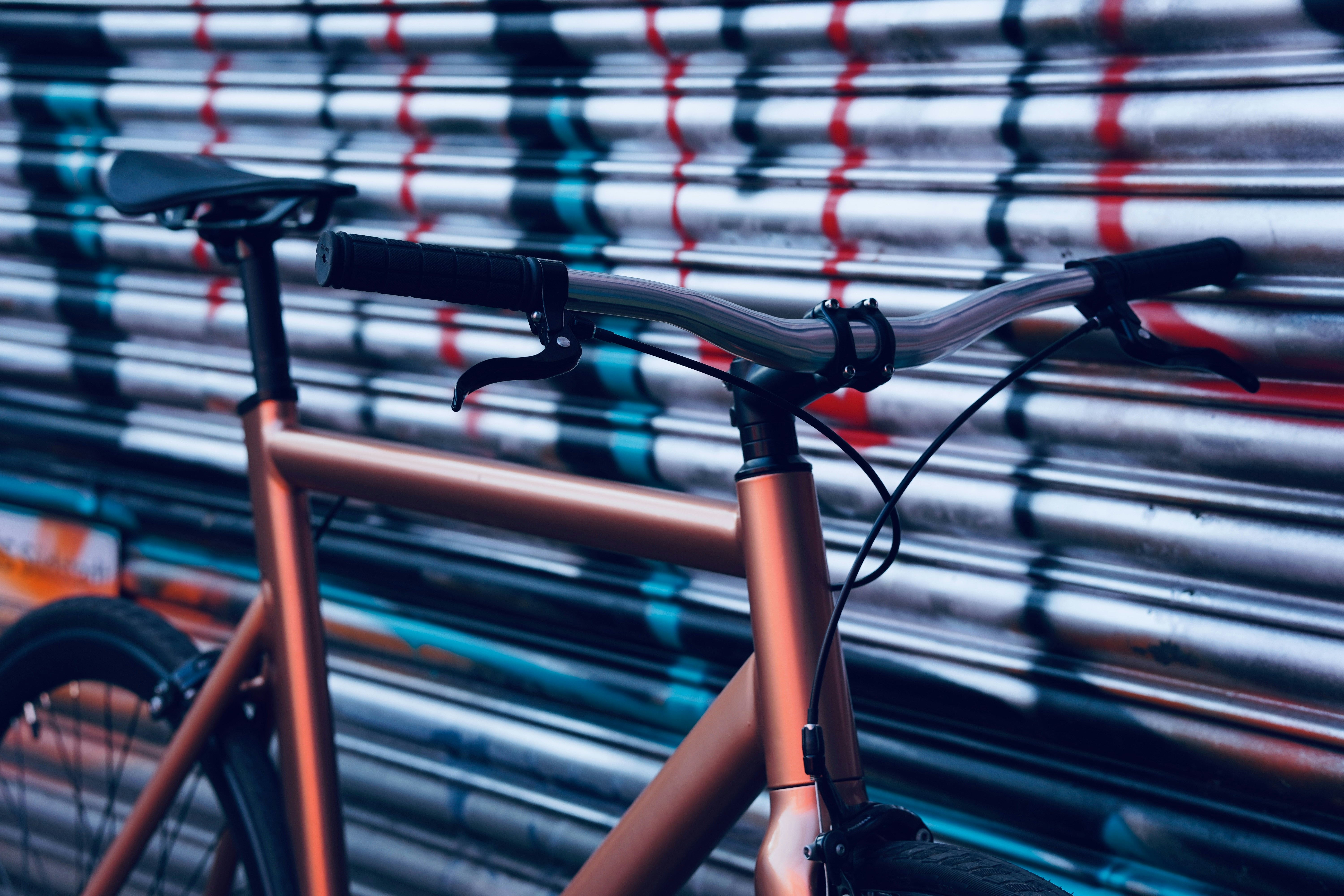 Copper Frame, Street Grid: A Bicycle Against a Painted Shut Gate
