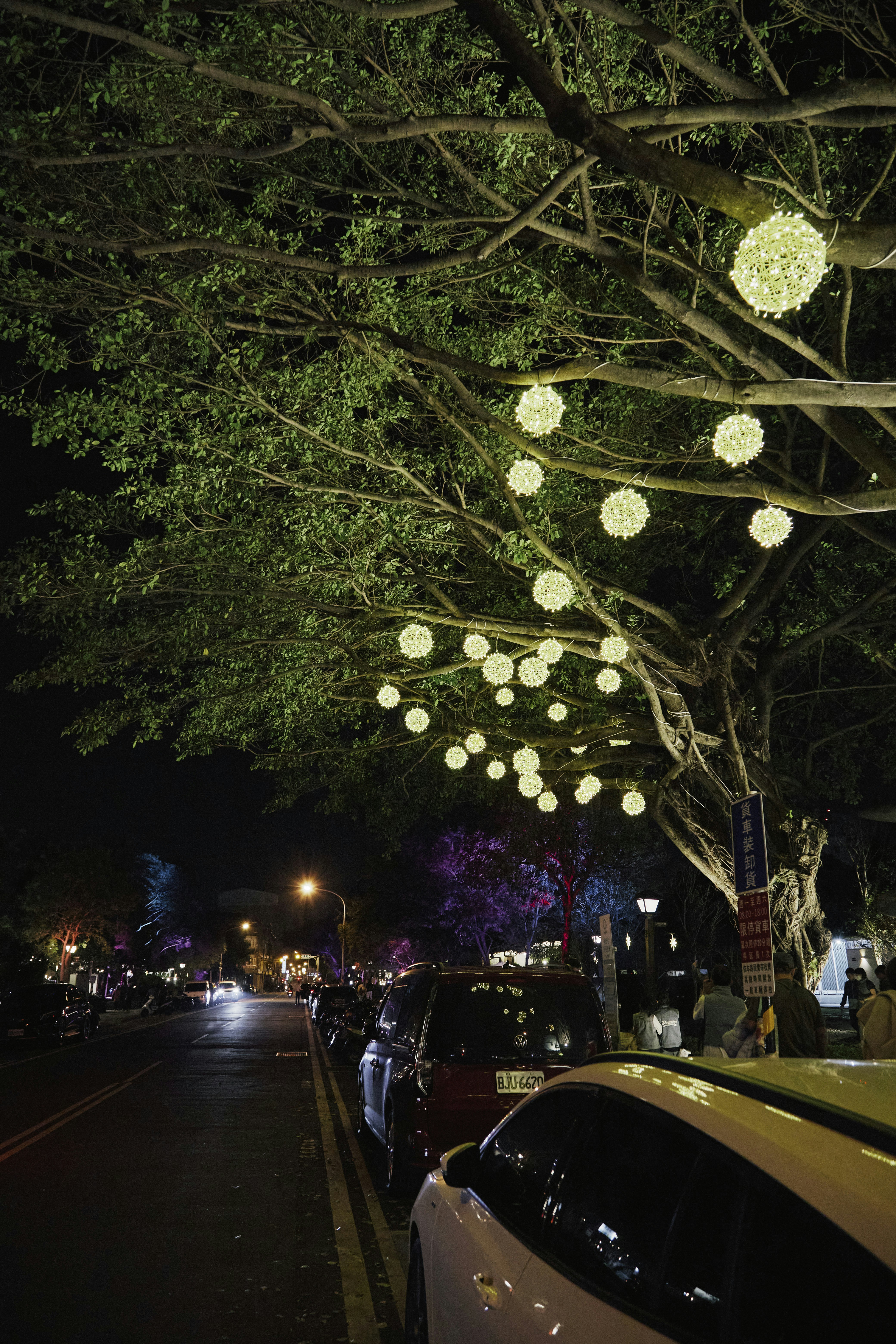 Night Lanterns in the Canopy: A Quiet Street Lodged with Light