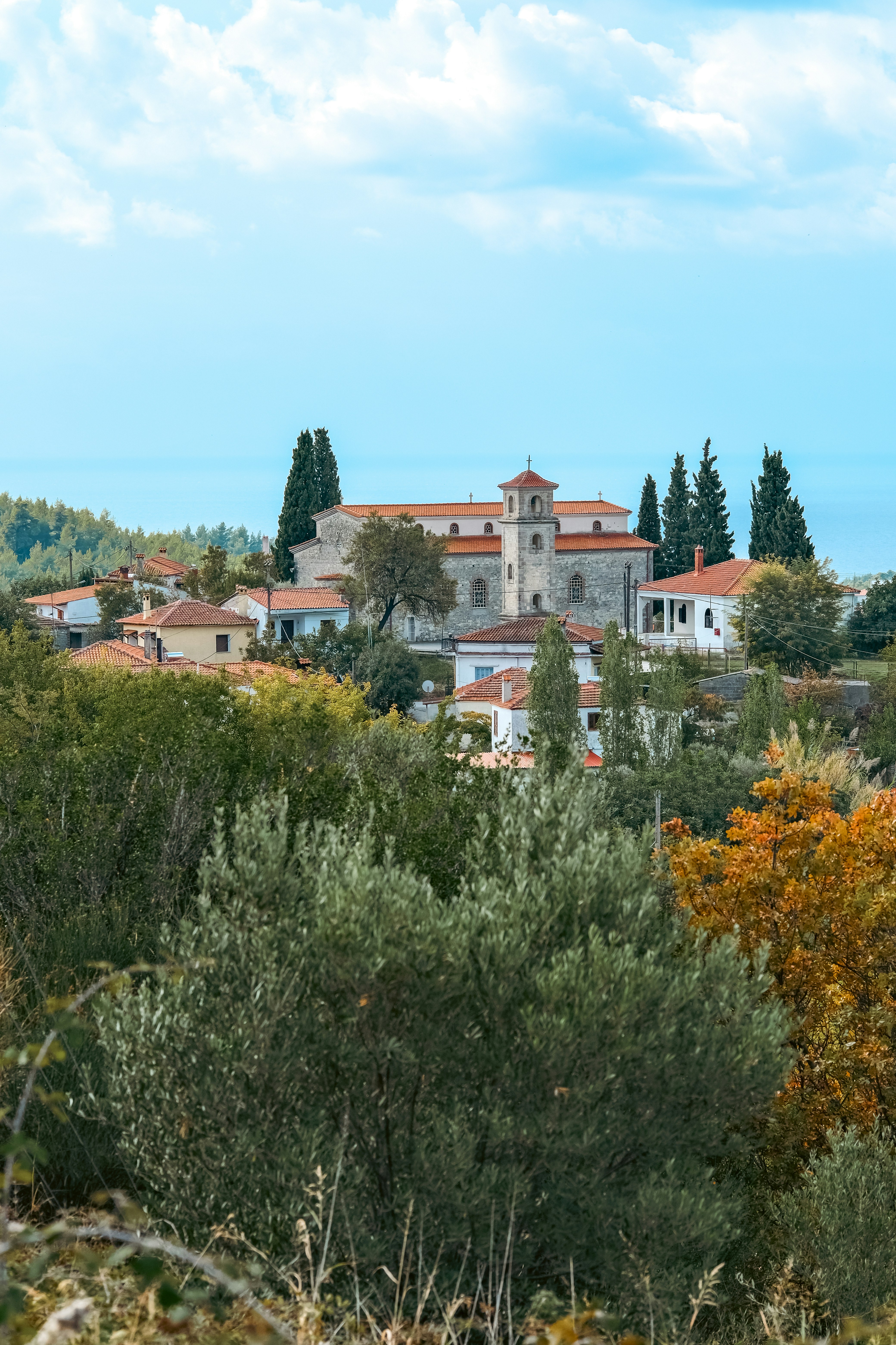 Stone-church village framed by olive groves beneath a blue sky