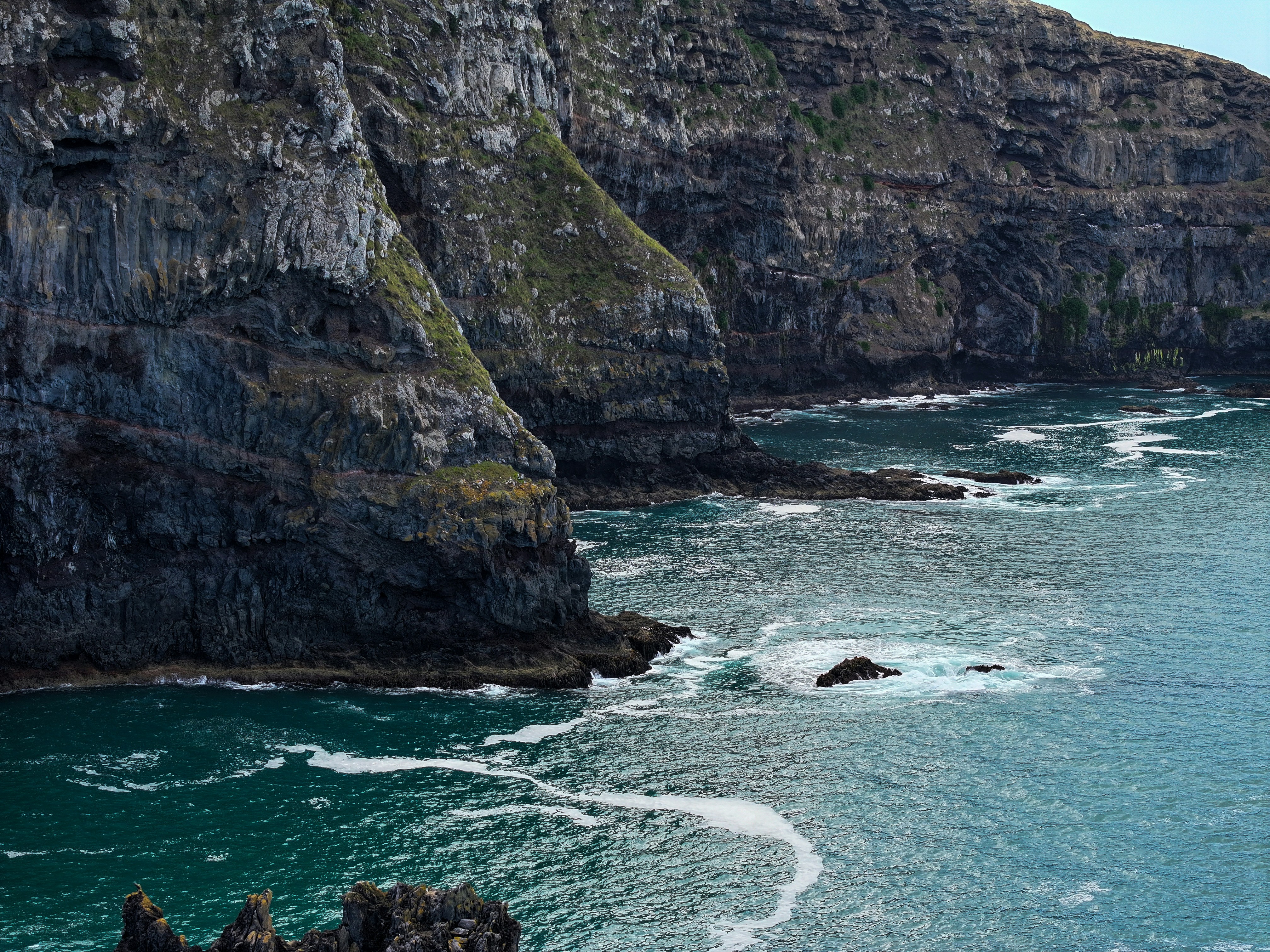 Cliffside Currents: A Sea-Waced Coastal Vista
