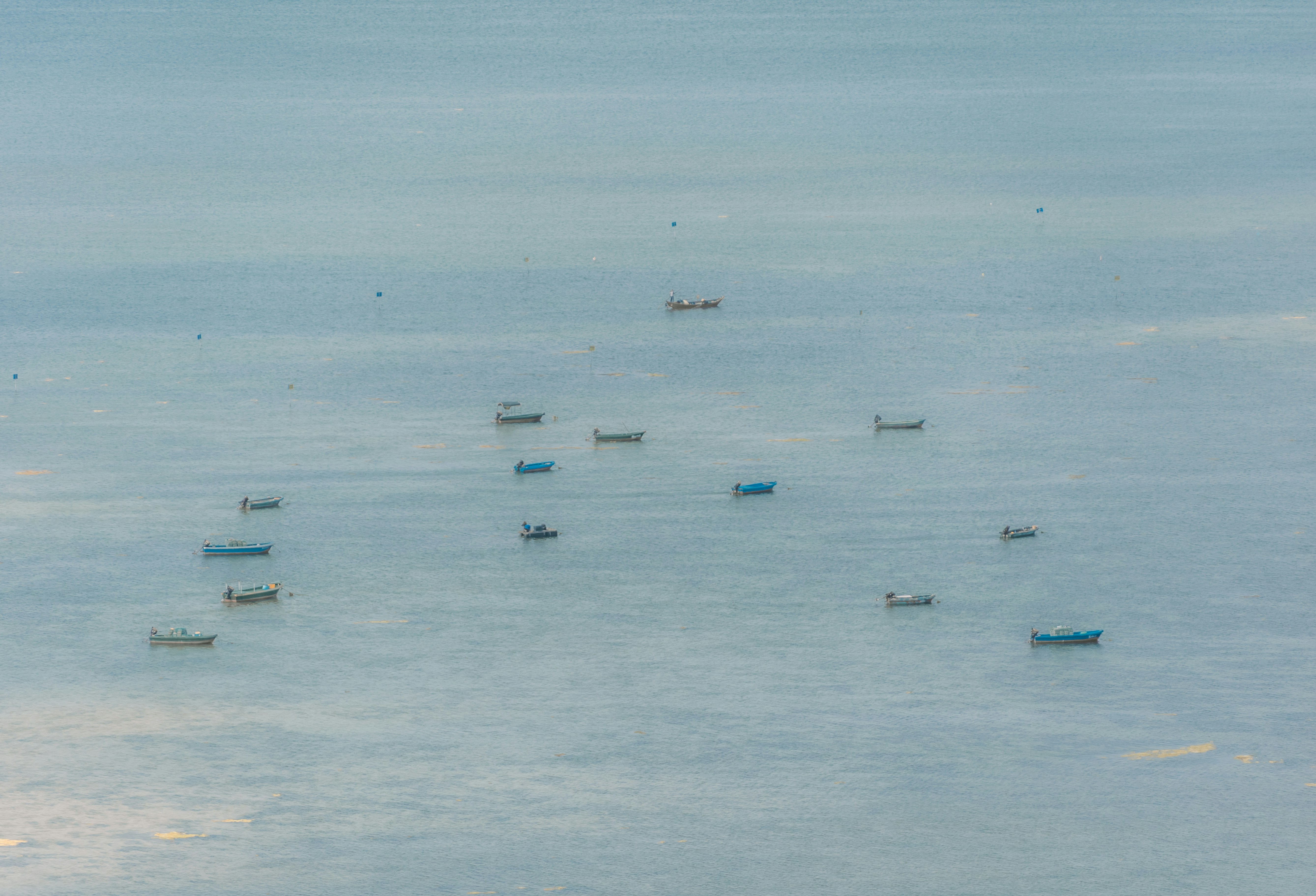 A Gentle Fleet Resting on Subtle Seas