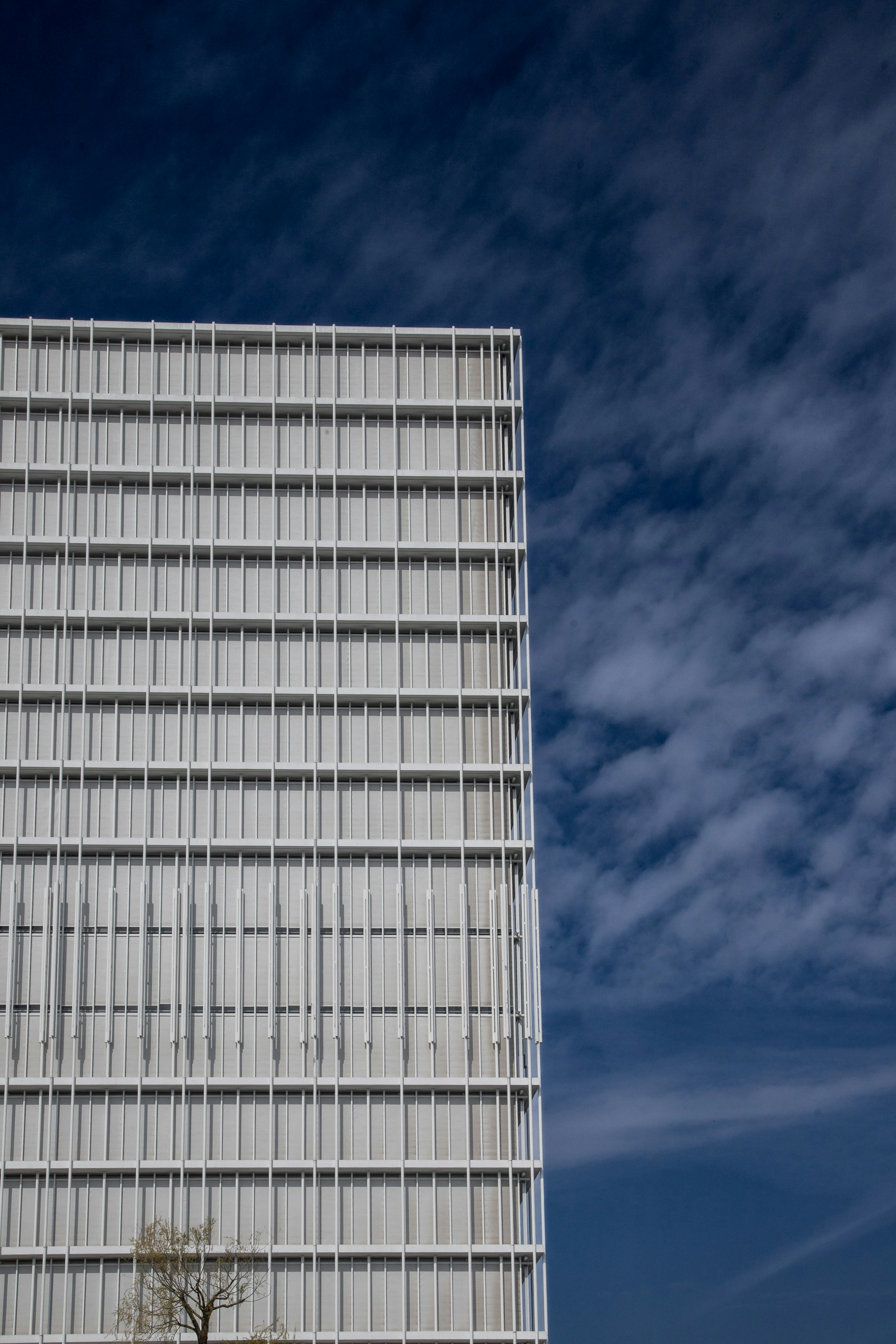 Vertical Gridlines Against a Blue Sky: The Facade of a Modern Building