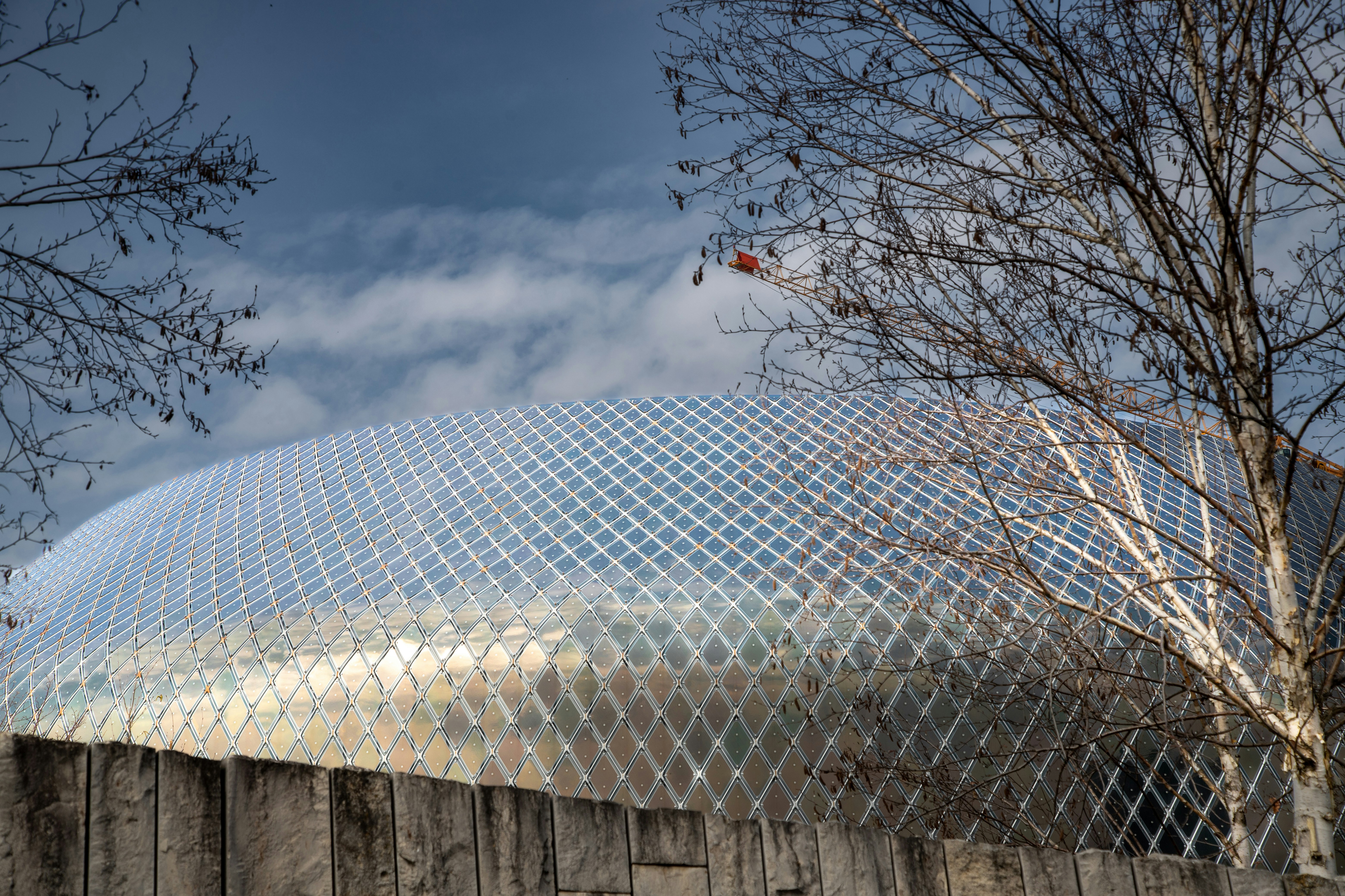 Latticed Sky: A Dome Surrounded by Winter Branches