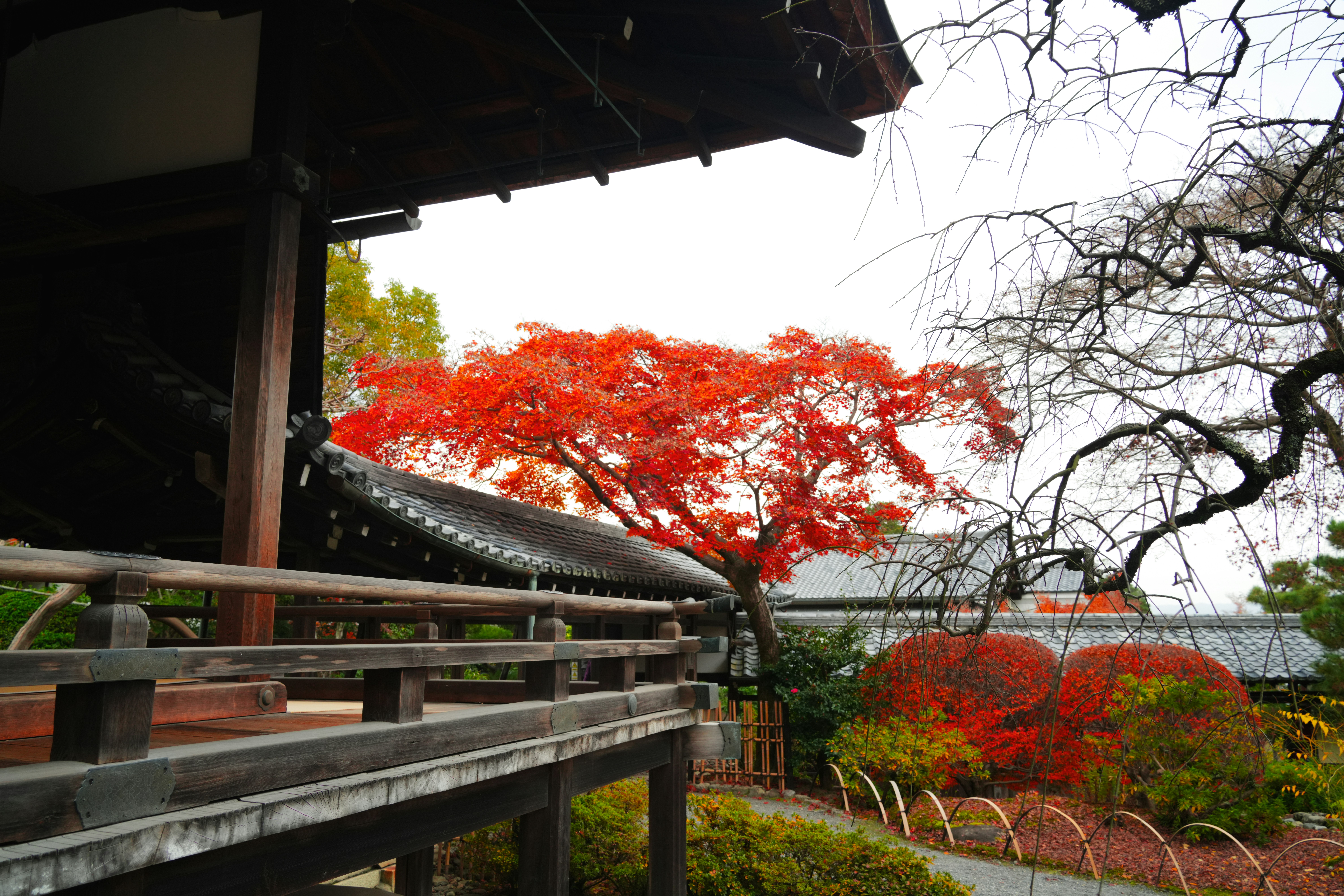 Autumn Serenity under a Traditional Balcony