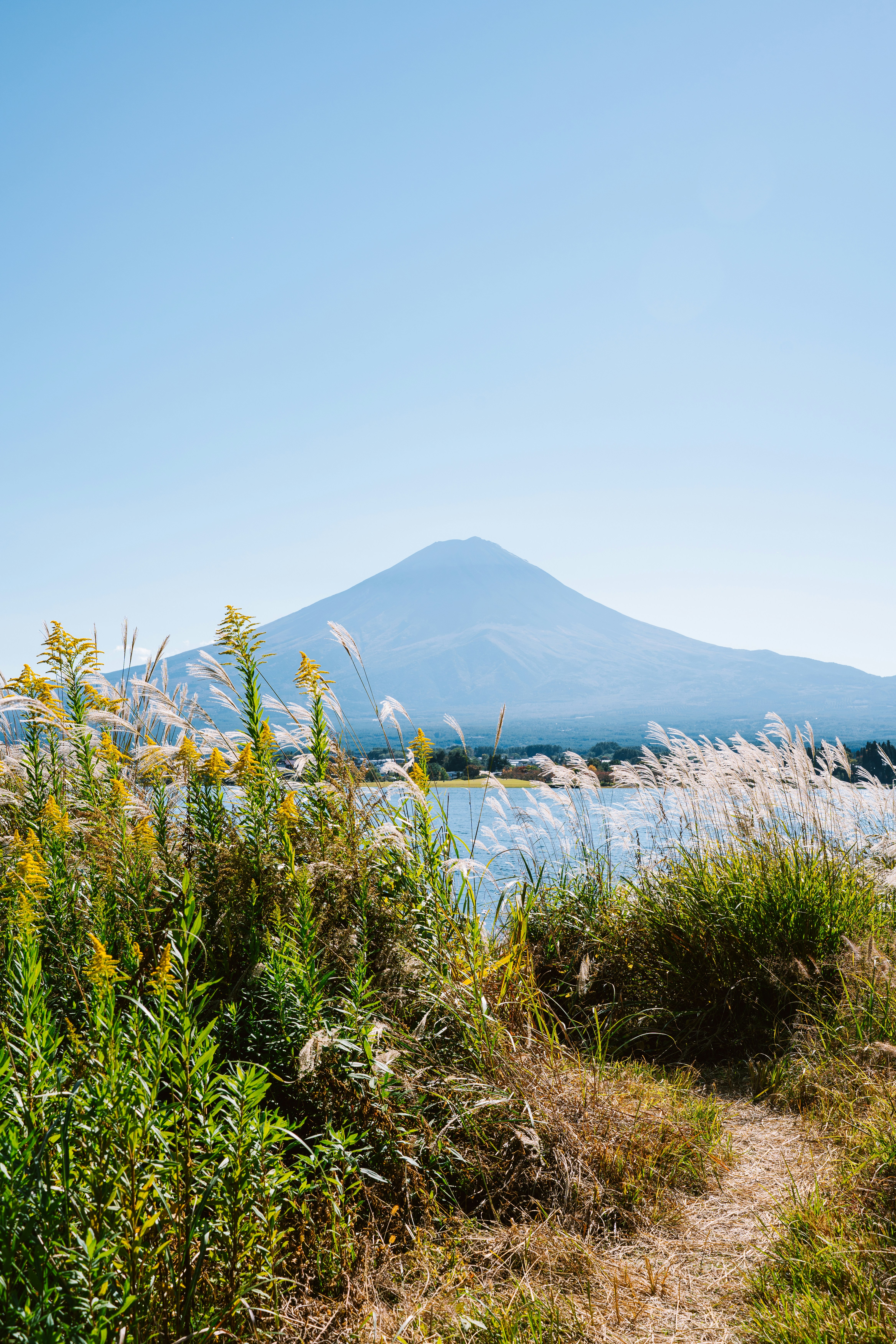 Mountainside Path to the Quiet Lake