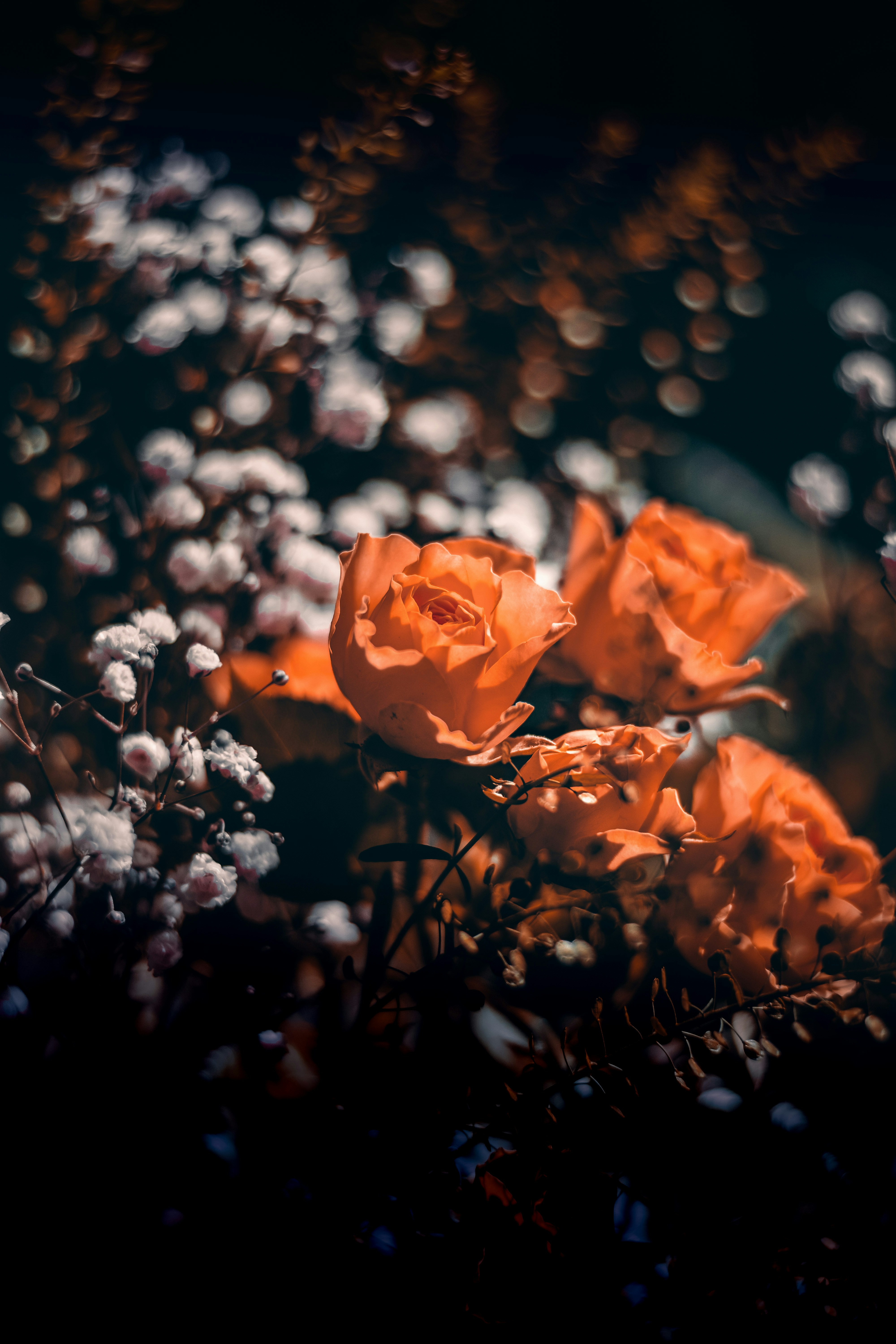 A moody bouquet of orange roses and delicate white fillers stands against a dark, cool-toned background, captured with a shallow depth of field to create a dreamy bokeh. This is a floral arrangement photo.