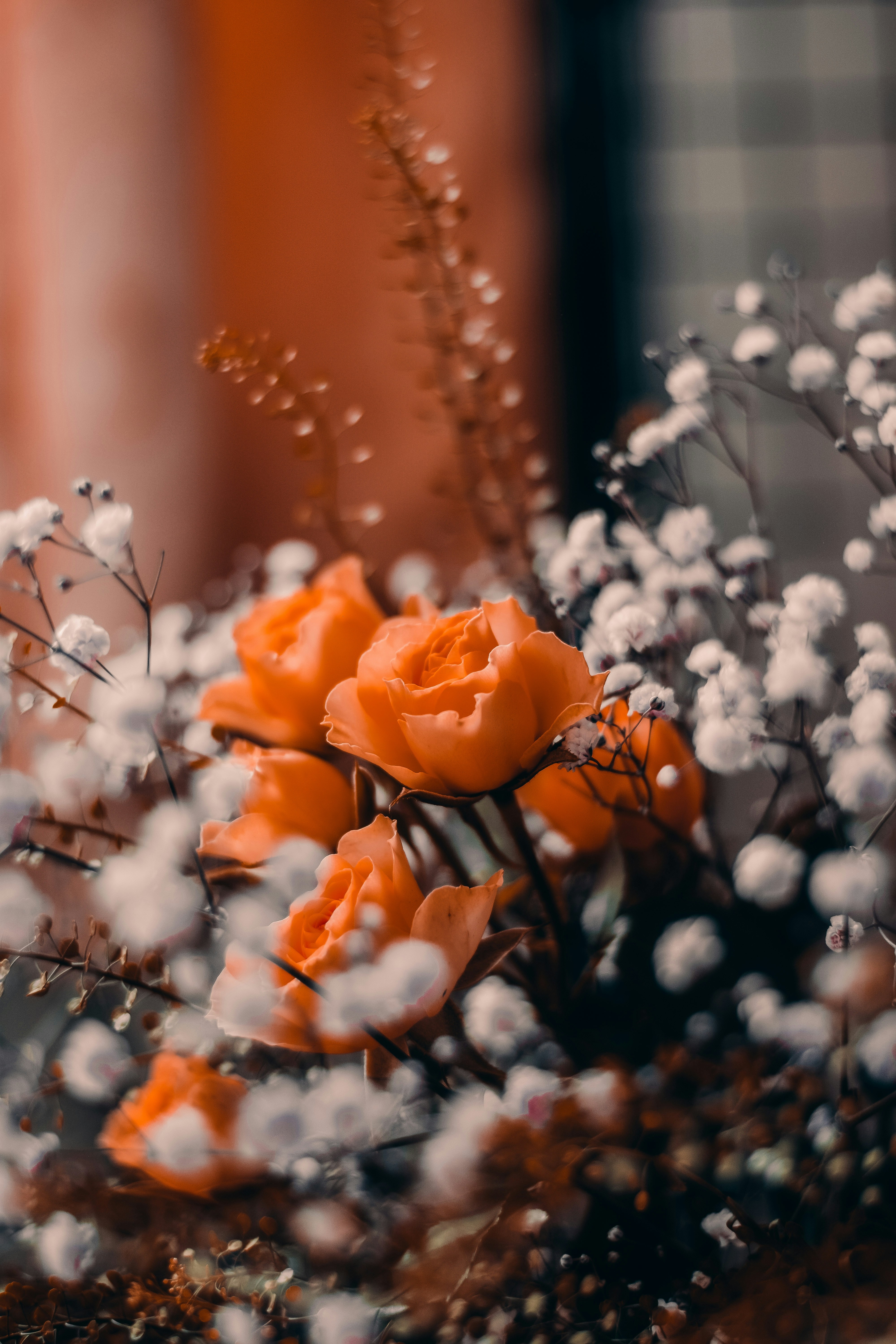 Orange Rose Cascade in Soft Focus Garden
