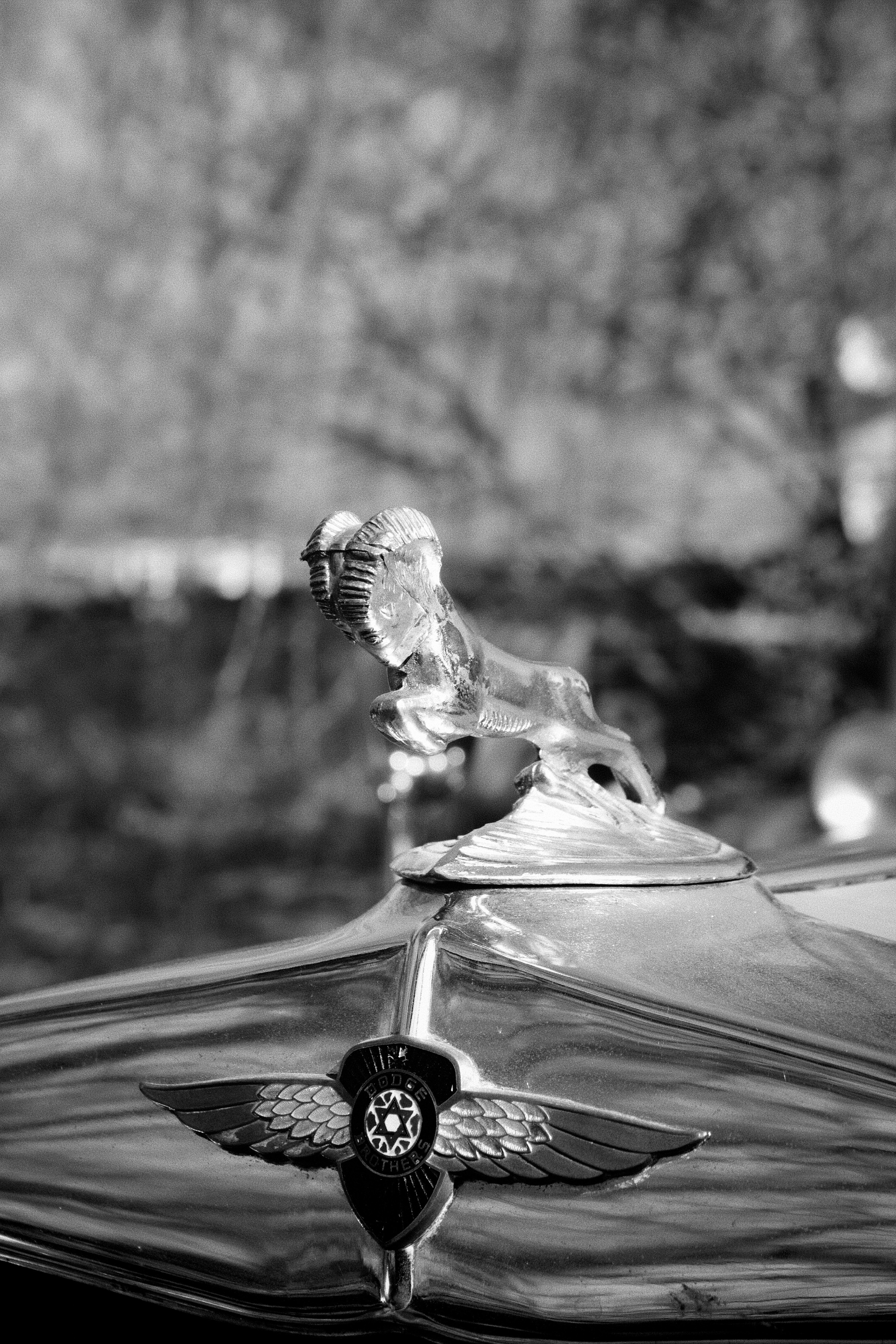 Heritage hood: the hood ornament and emblem in monochrome