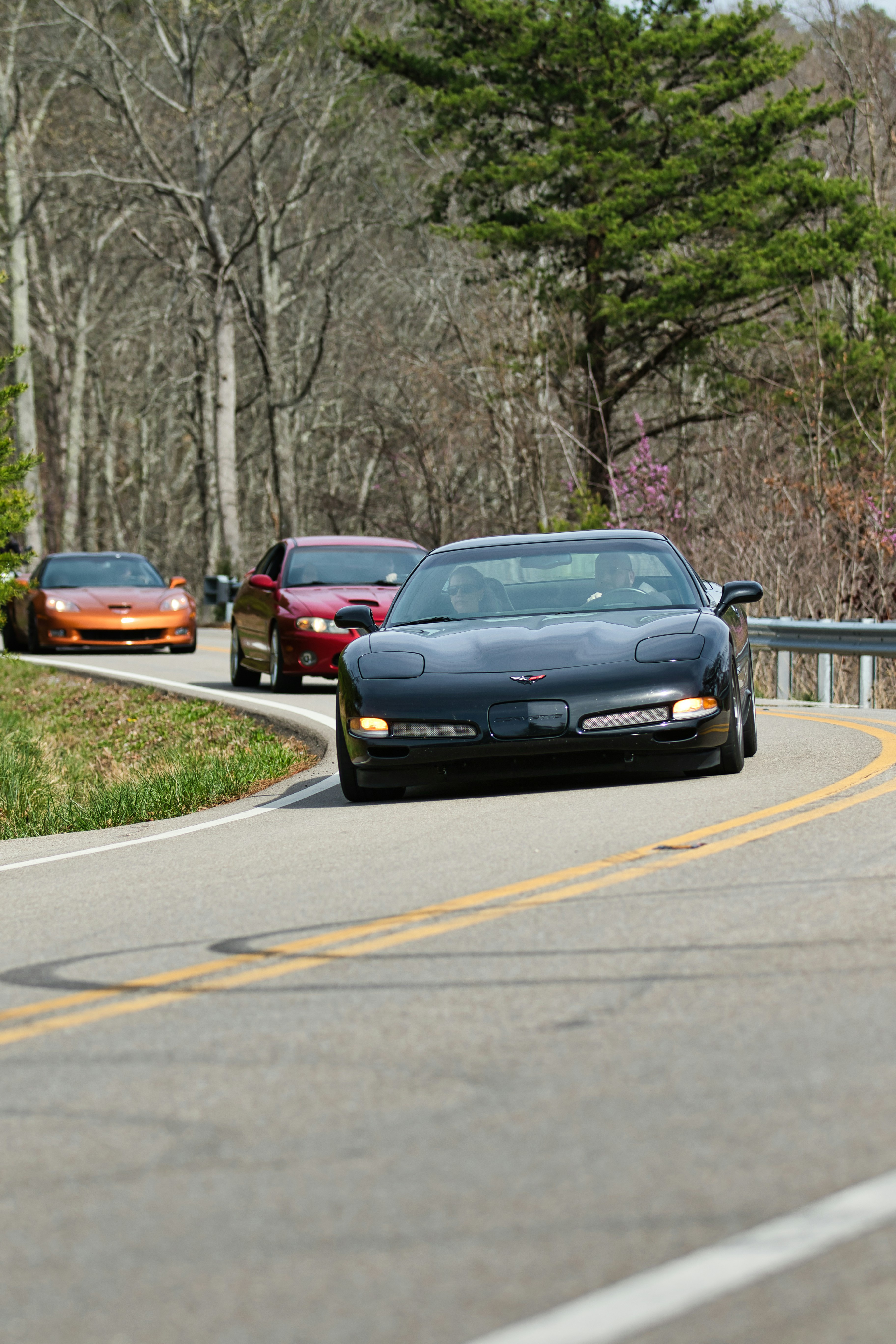 Leading Line of Classic Cadillacs on a Quiet Curve