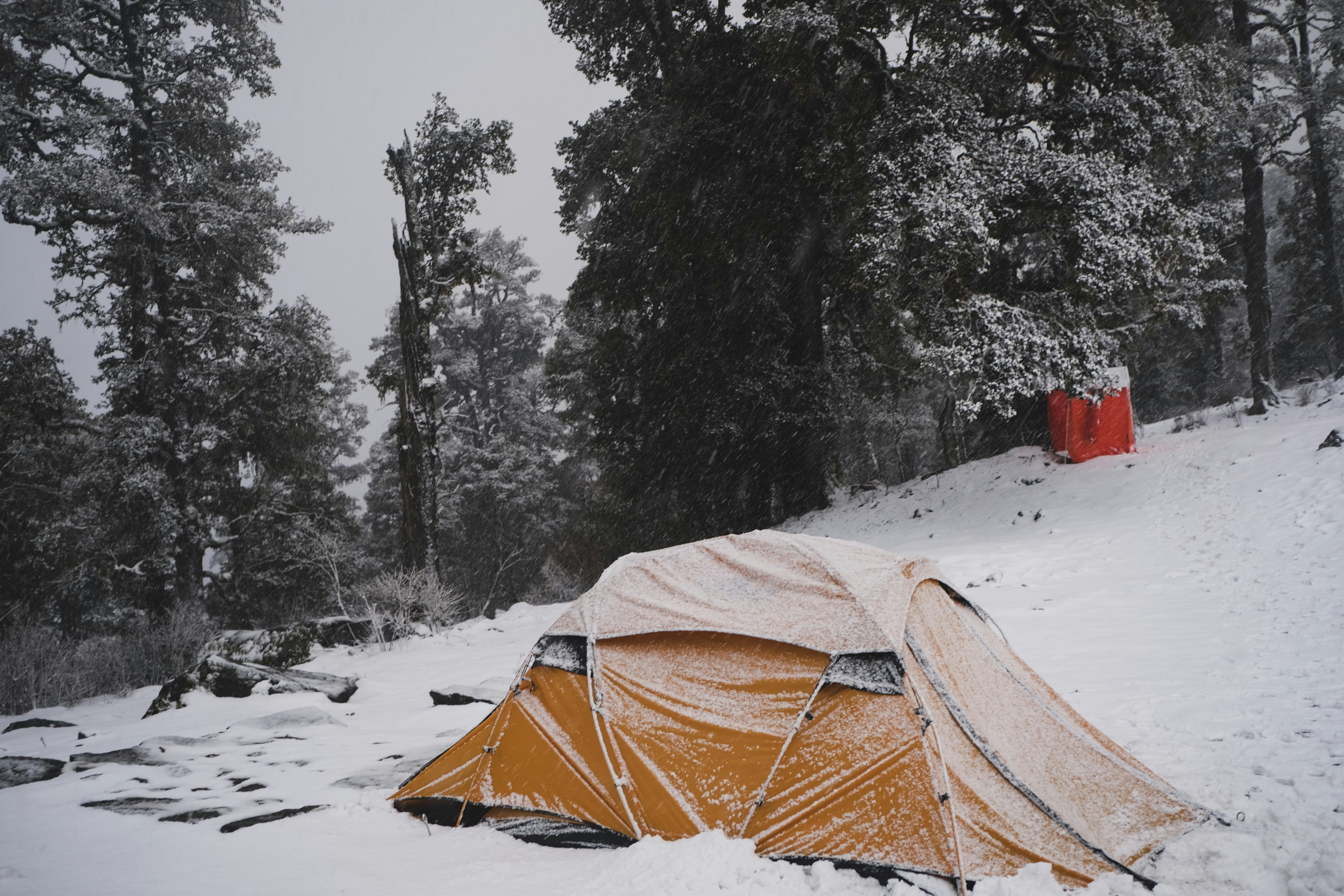 Amber Tent in Quiet Snowbound Clearing