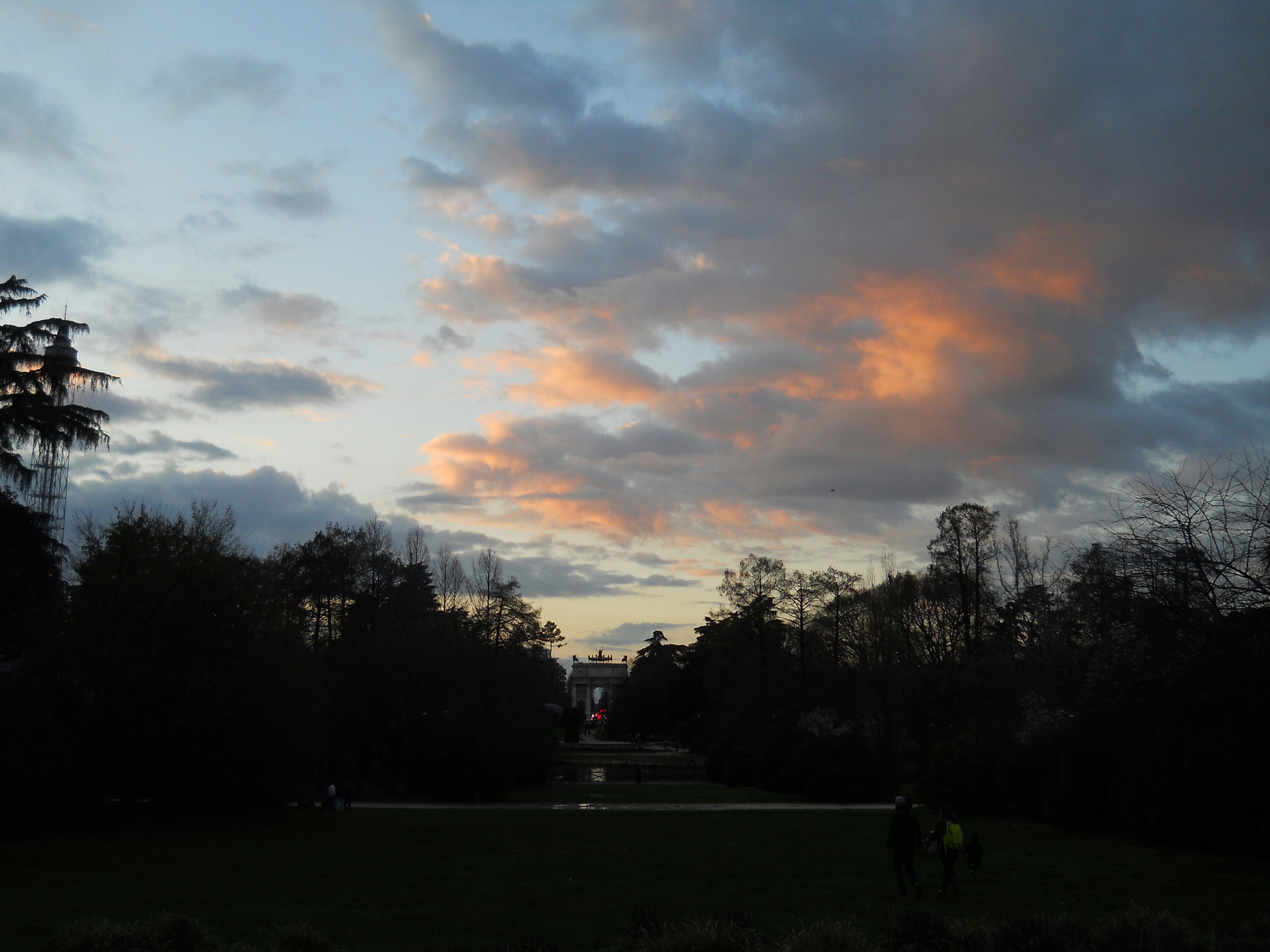 Twilight Avenue: A Silhouette Walk Through the Park