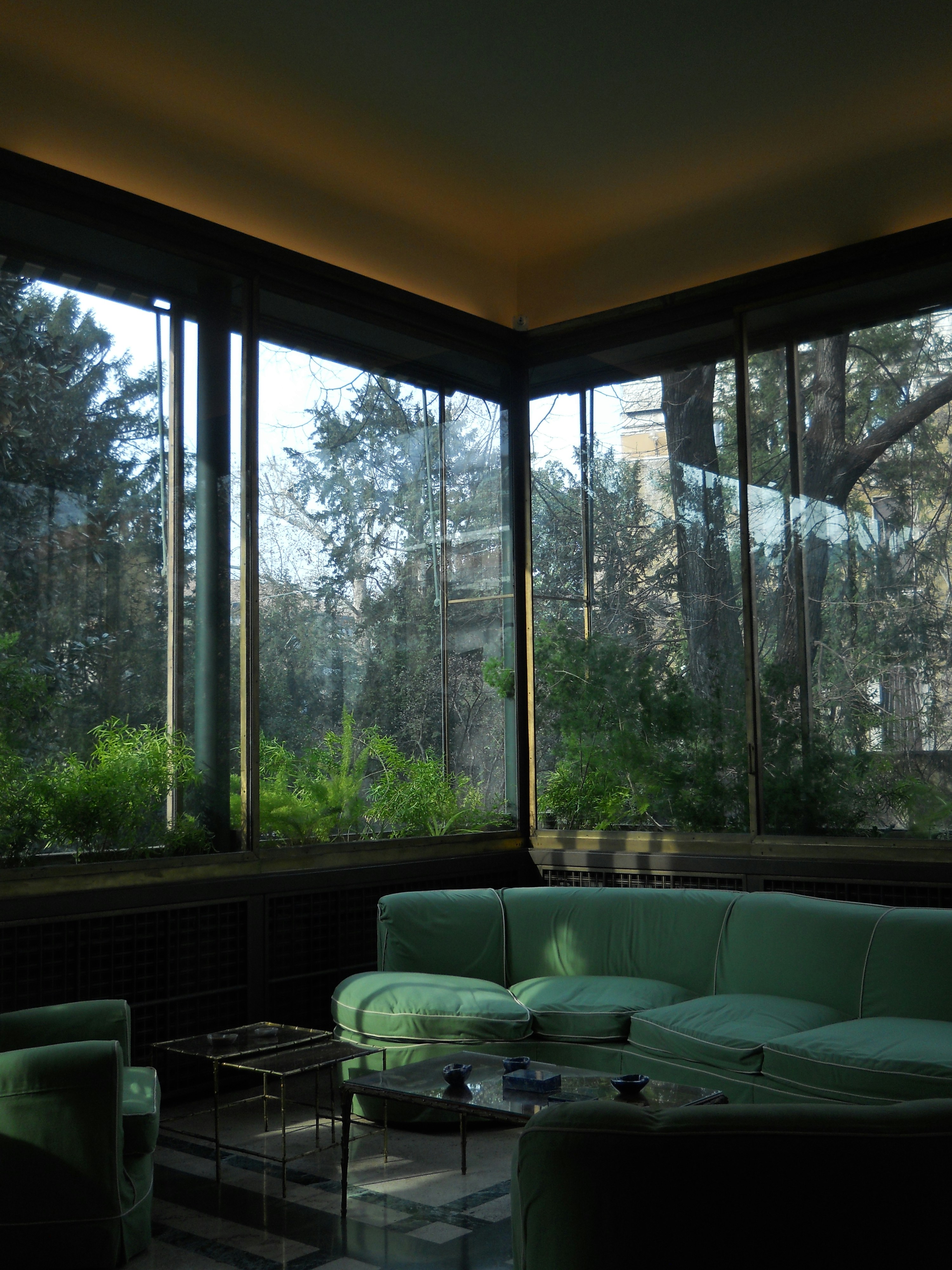 Sunlit Glasses: A Quiet Corner of Lime-green Comfort