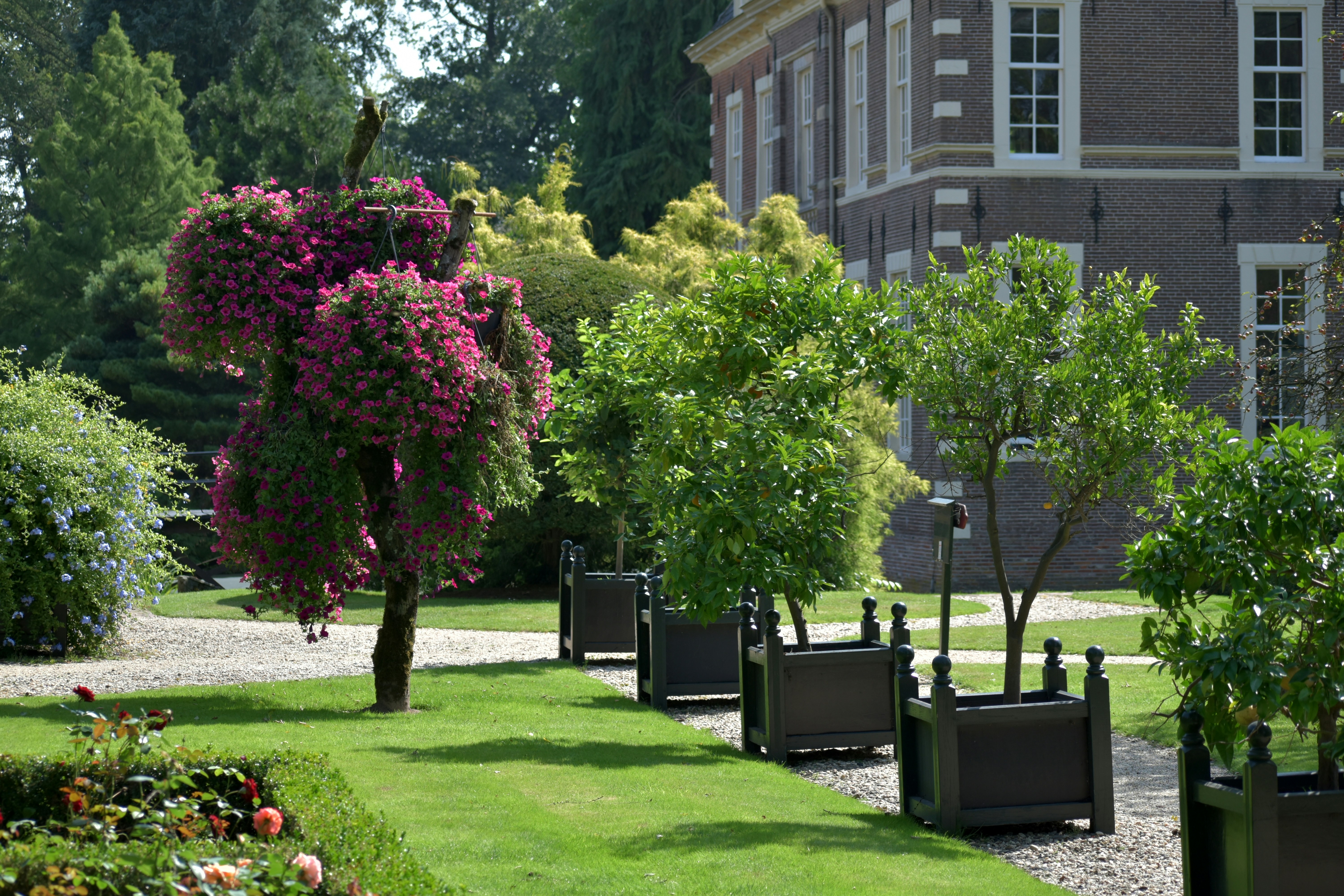 Hanging bloom arch and garden path toward a stately brick building