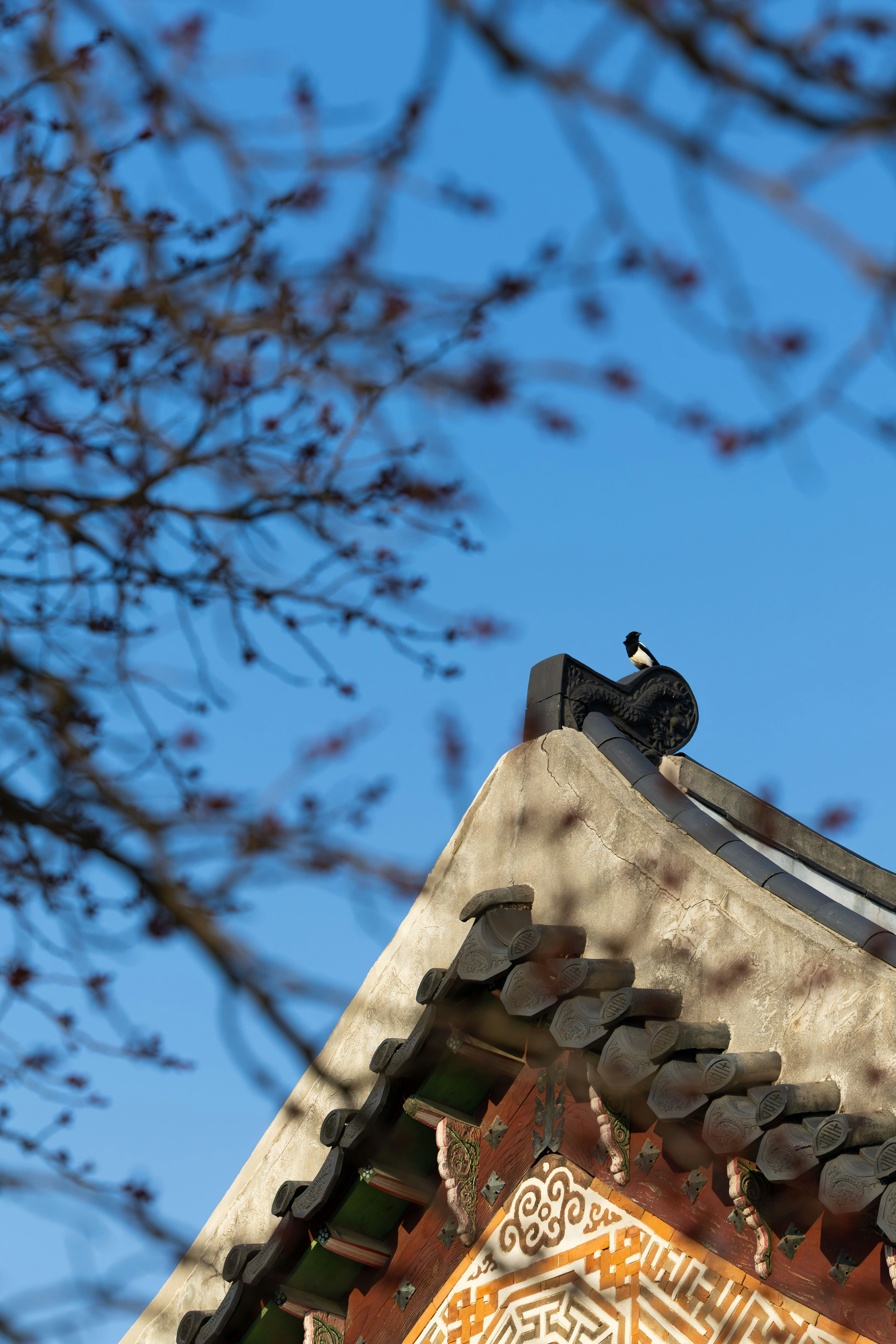 Ceremonial Roofline: Crane Watching Over a Tile Crest