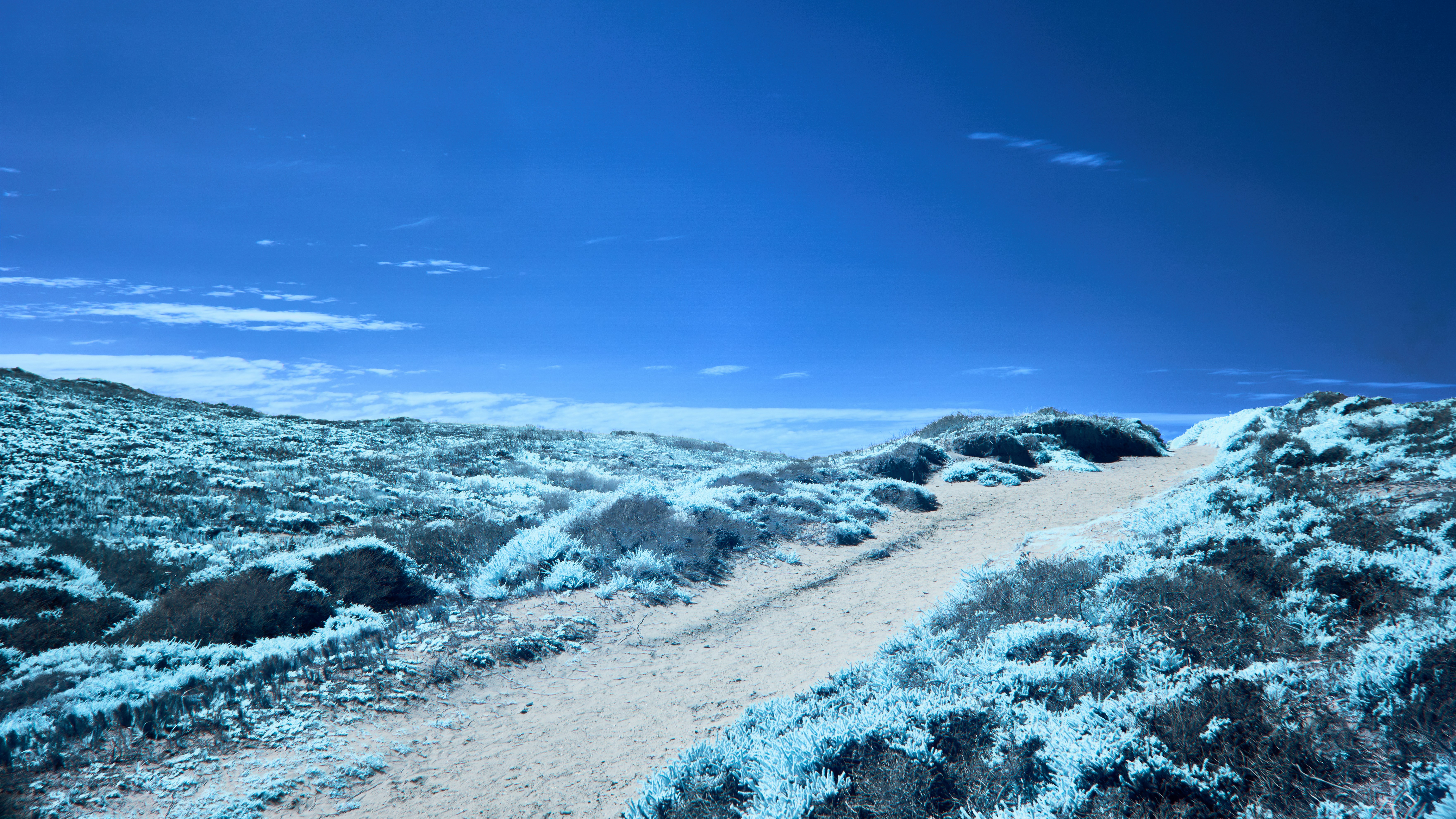 Blue Dunes under a Clear Horizon