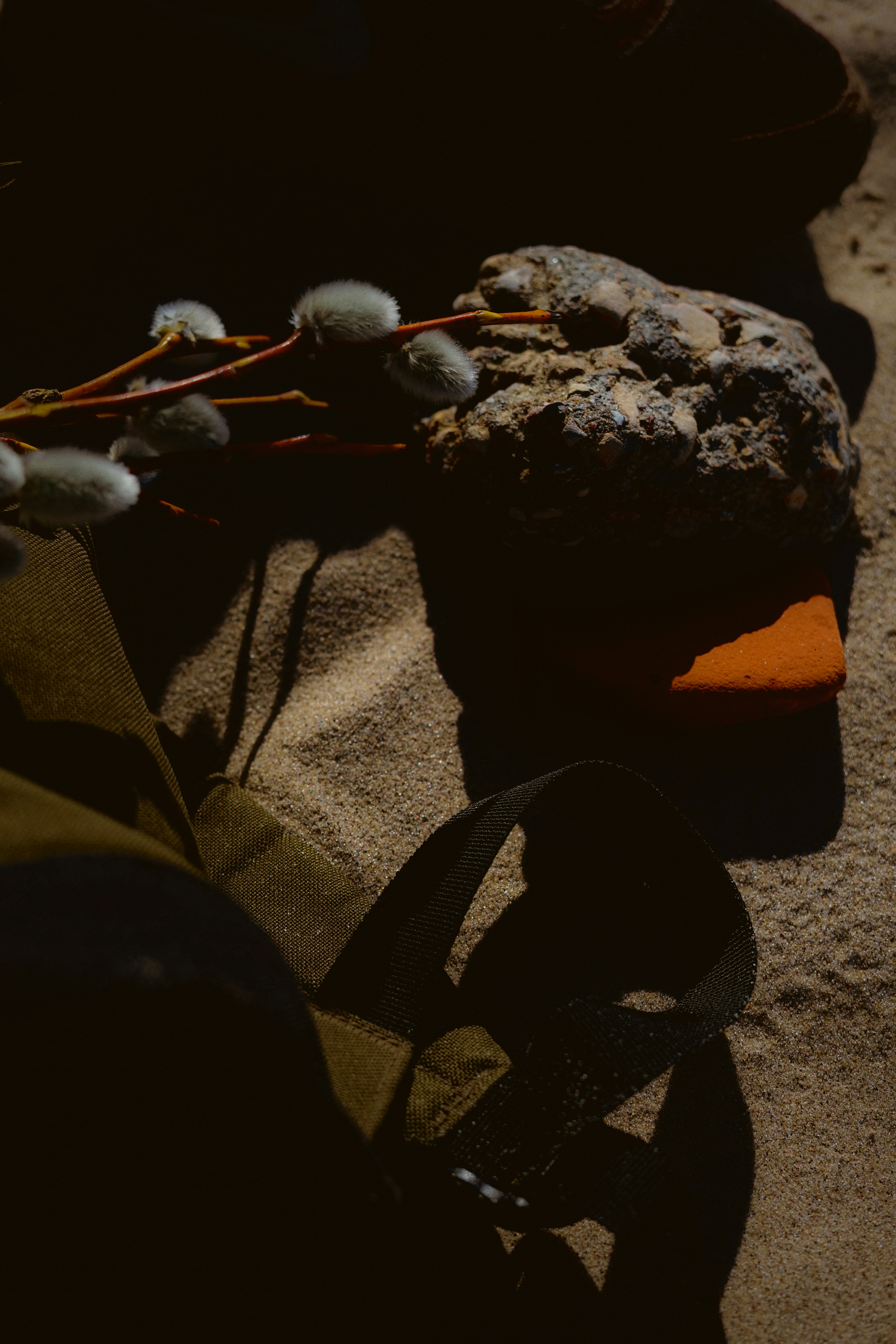 Shaded Sand and Willow: A Quiet Moment by the Stones