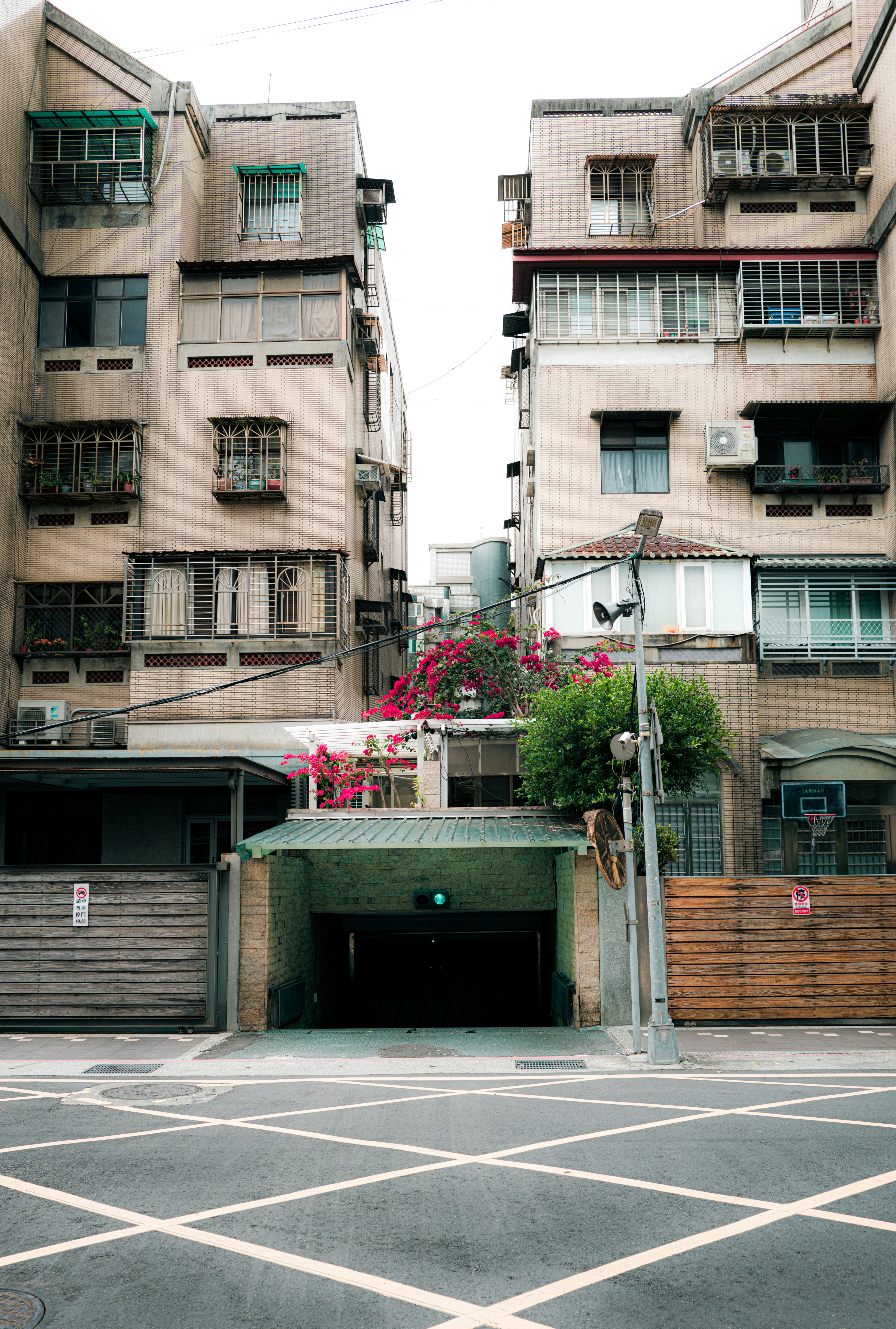 Urban Canyon: Facades, Greenery, and a Bright Overture of Bougainvillea