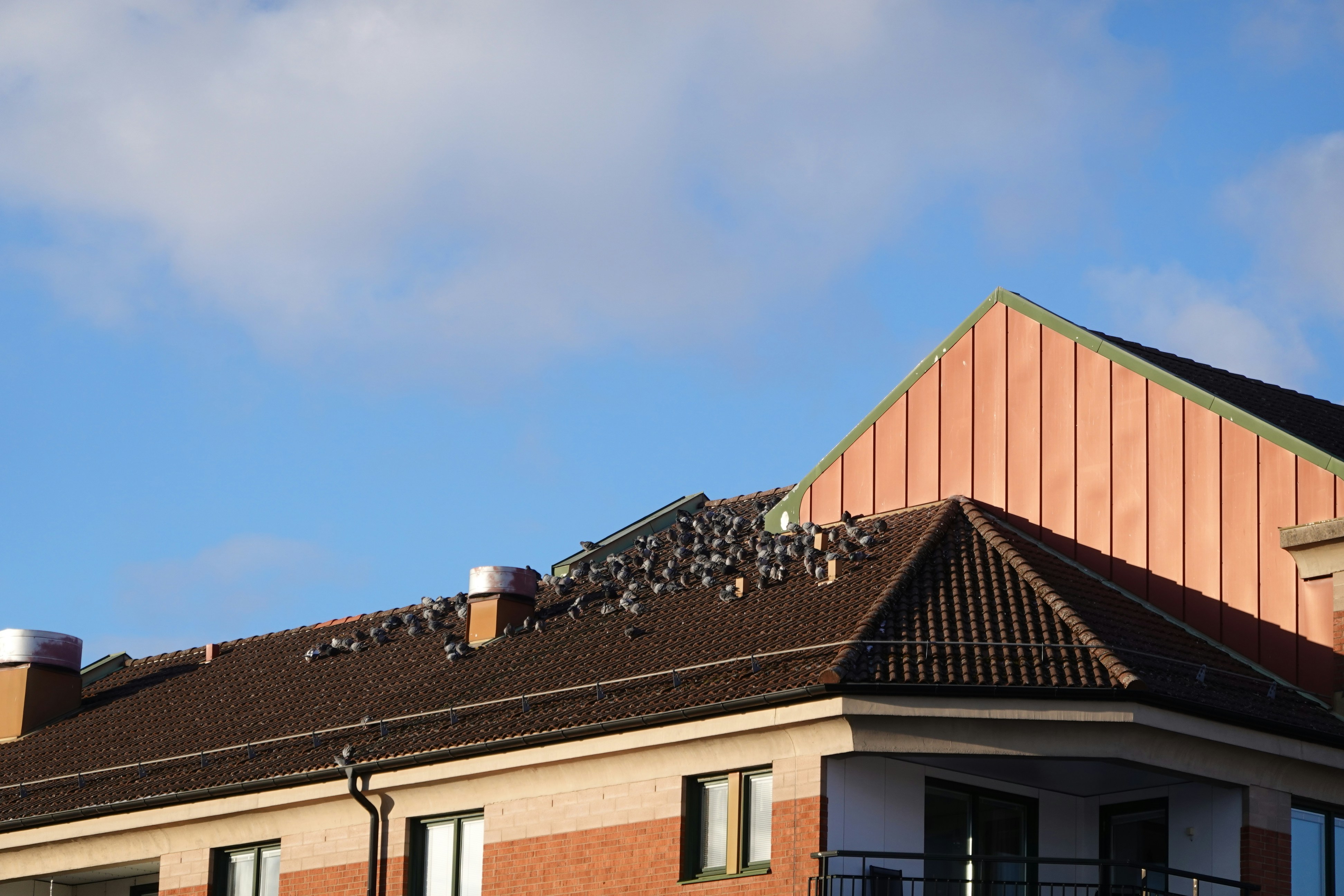 Ridgeline of Rooftops Under a Clear Sky