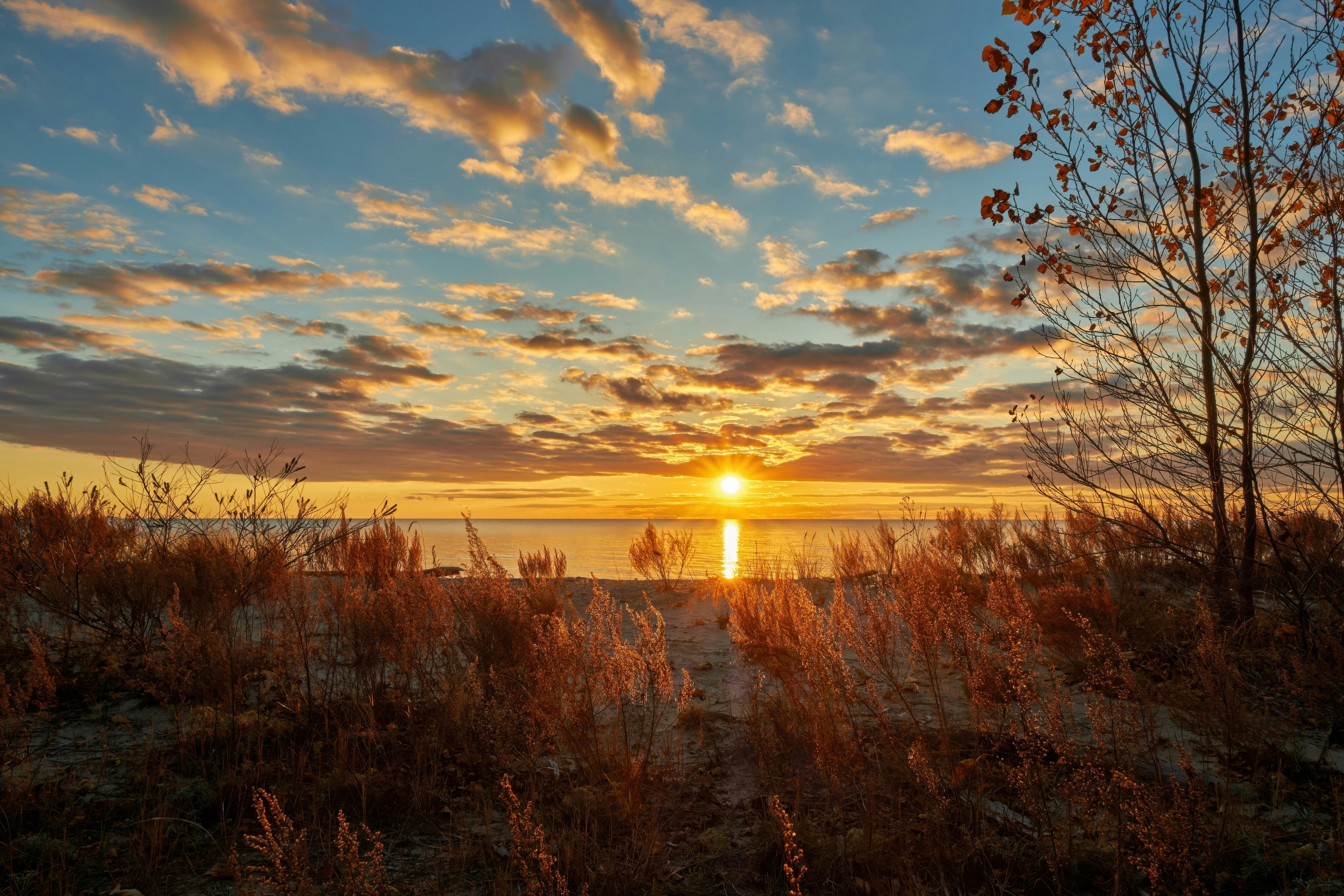 Sunset Ritual Over the Dune Field
