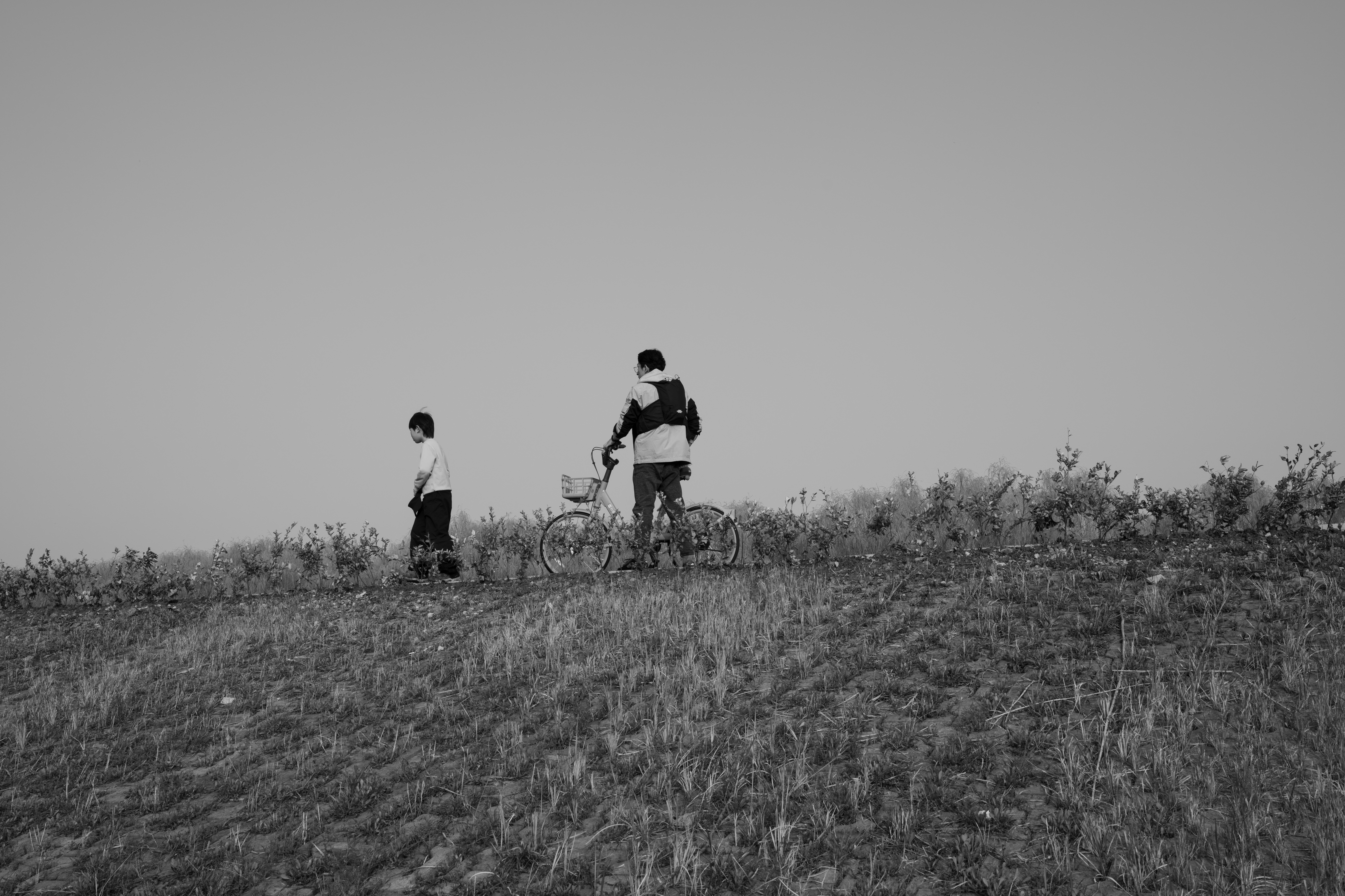 Two people and a bicycle on a grassy hill