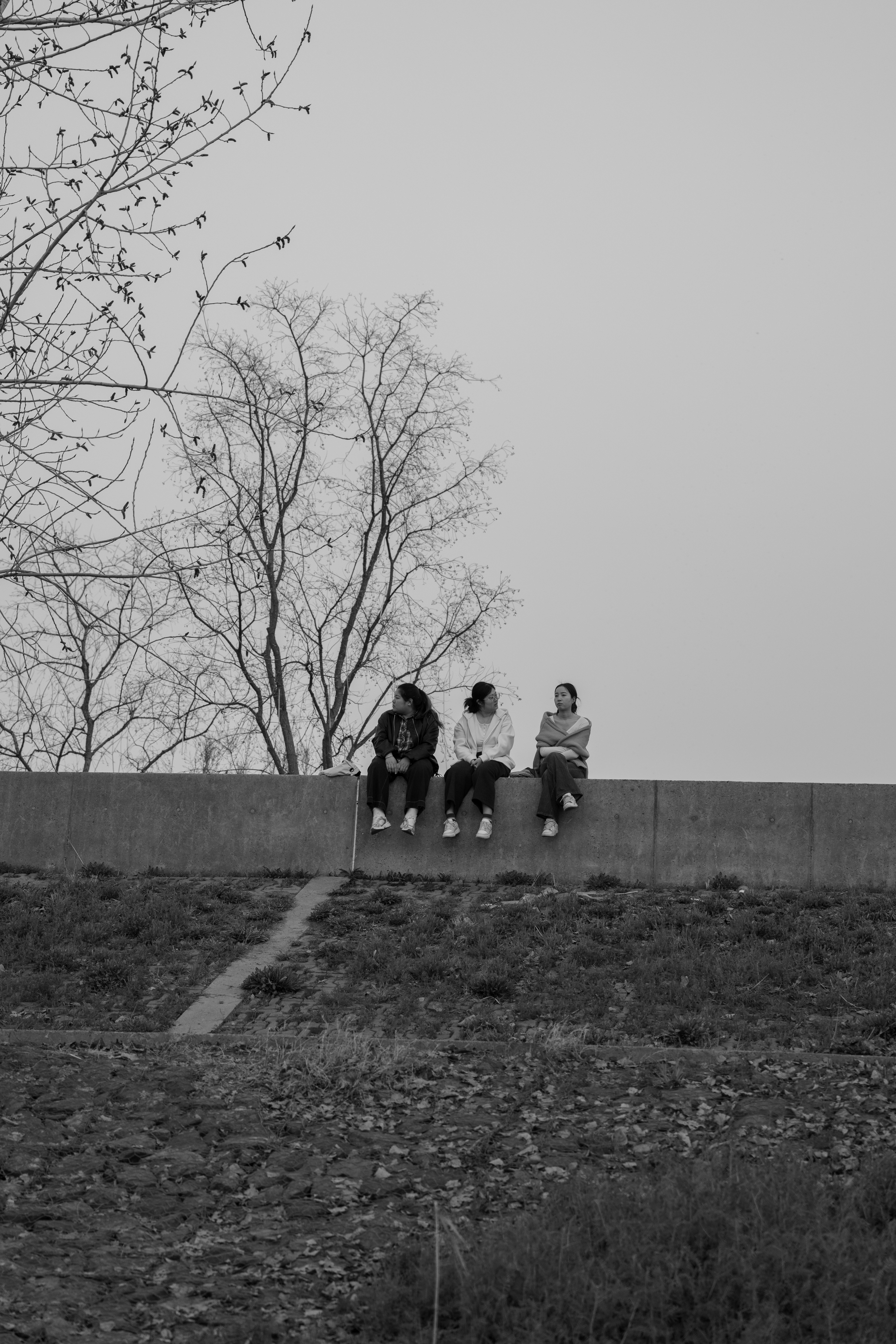 Three silhouettes on a concrete ledge under leafless trees