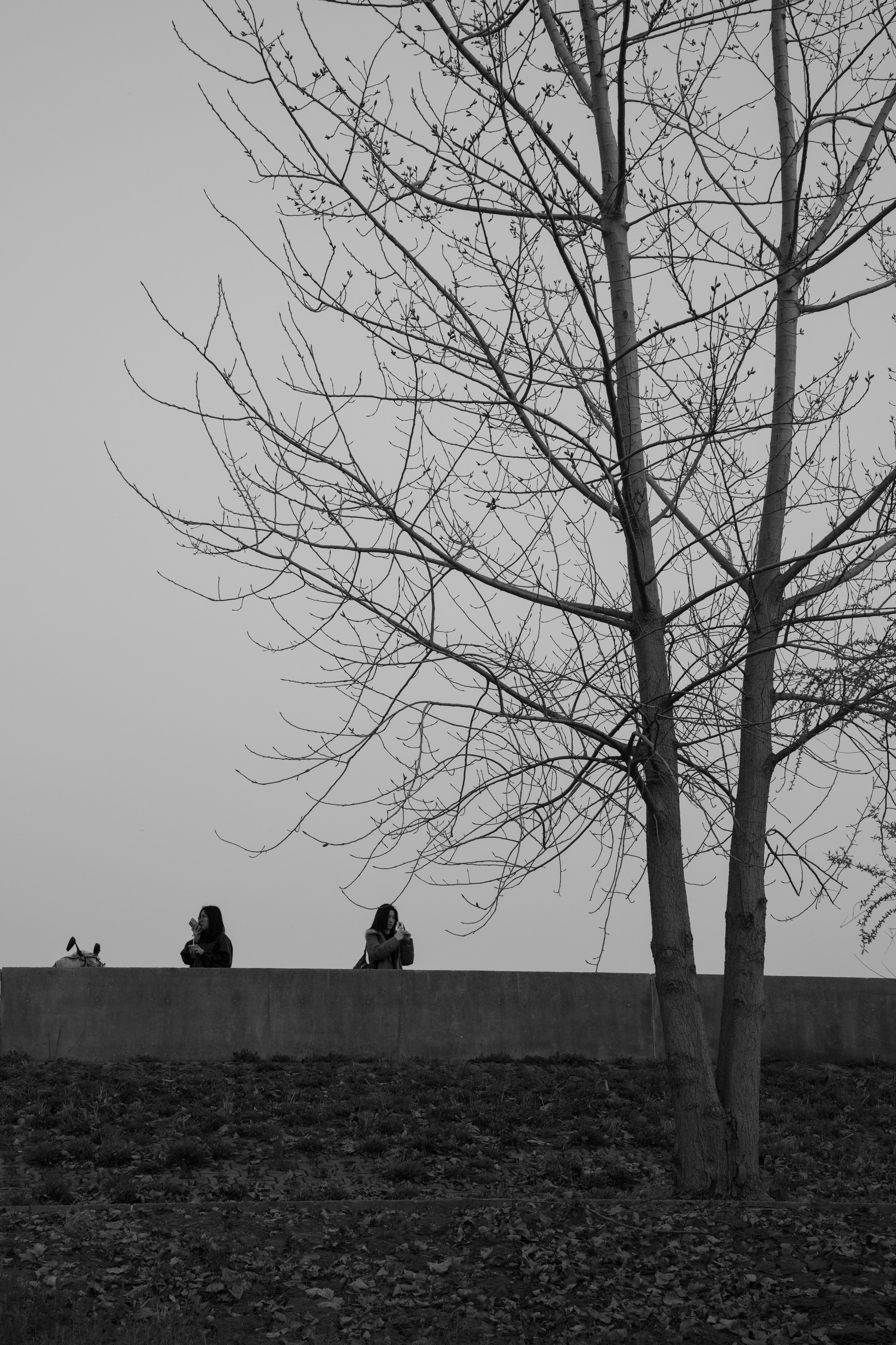 Silhouettes on the Edge: Conversations Across the Wall