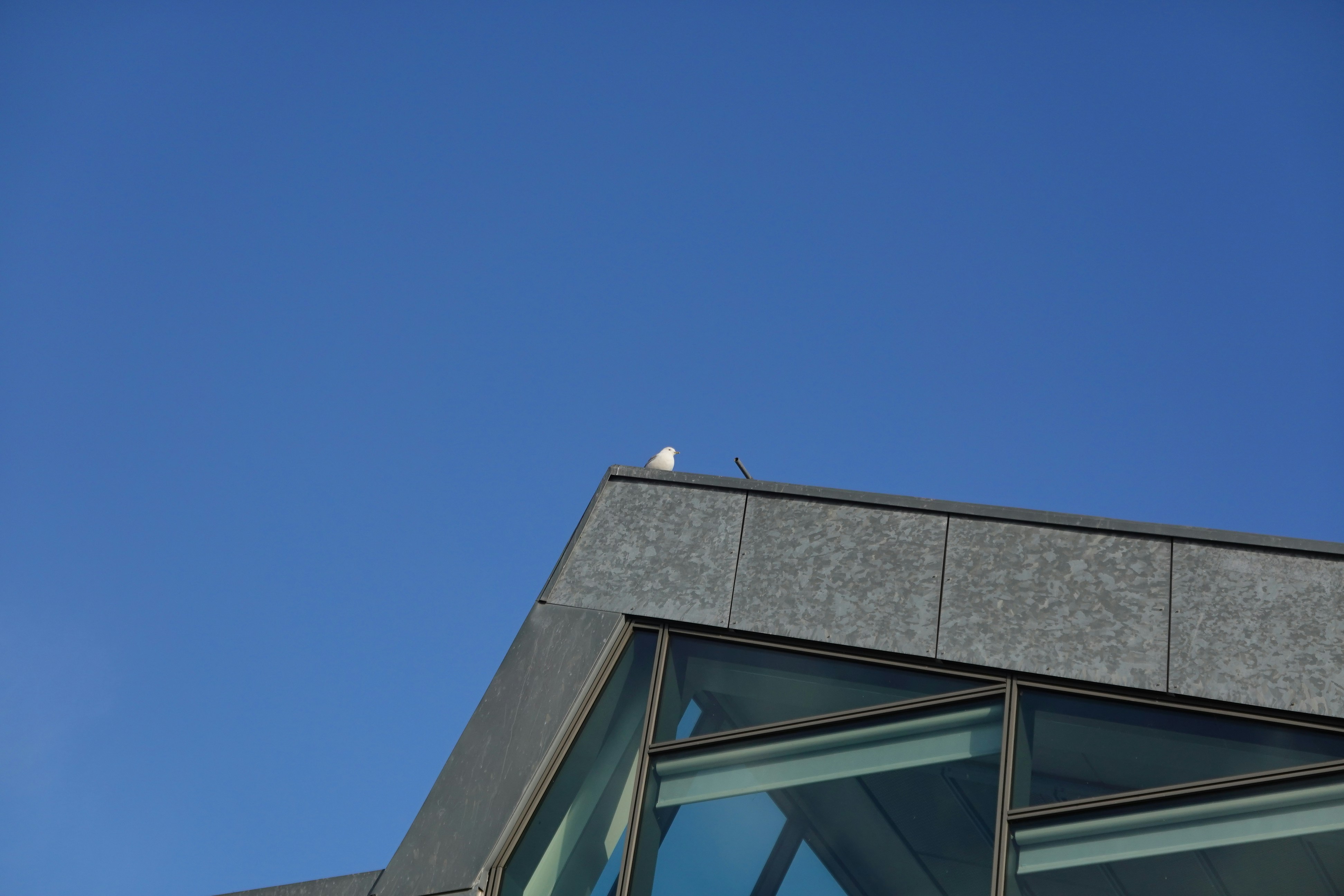 Angular Glass and Sky: A Corner of Modern Architecture under a Clear Blue