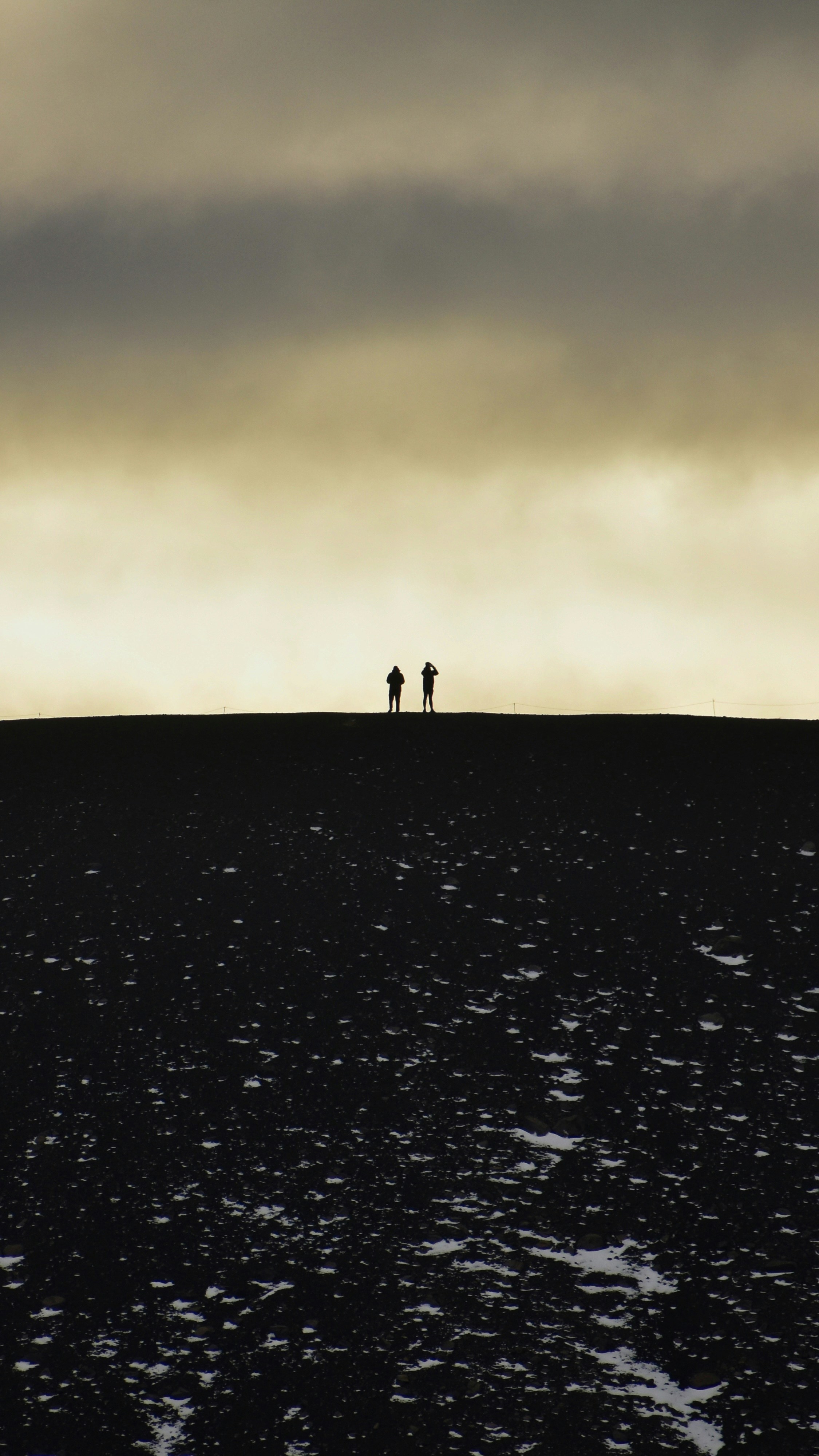Silhouettes on the Horizon: A Quiet Walk at Dusk