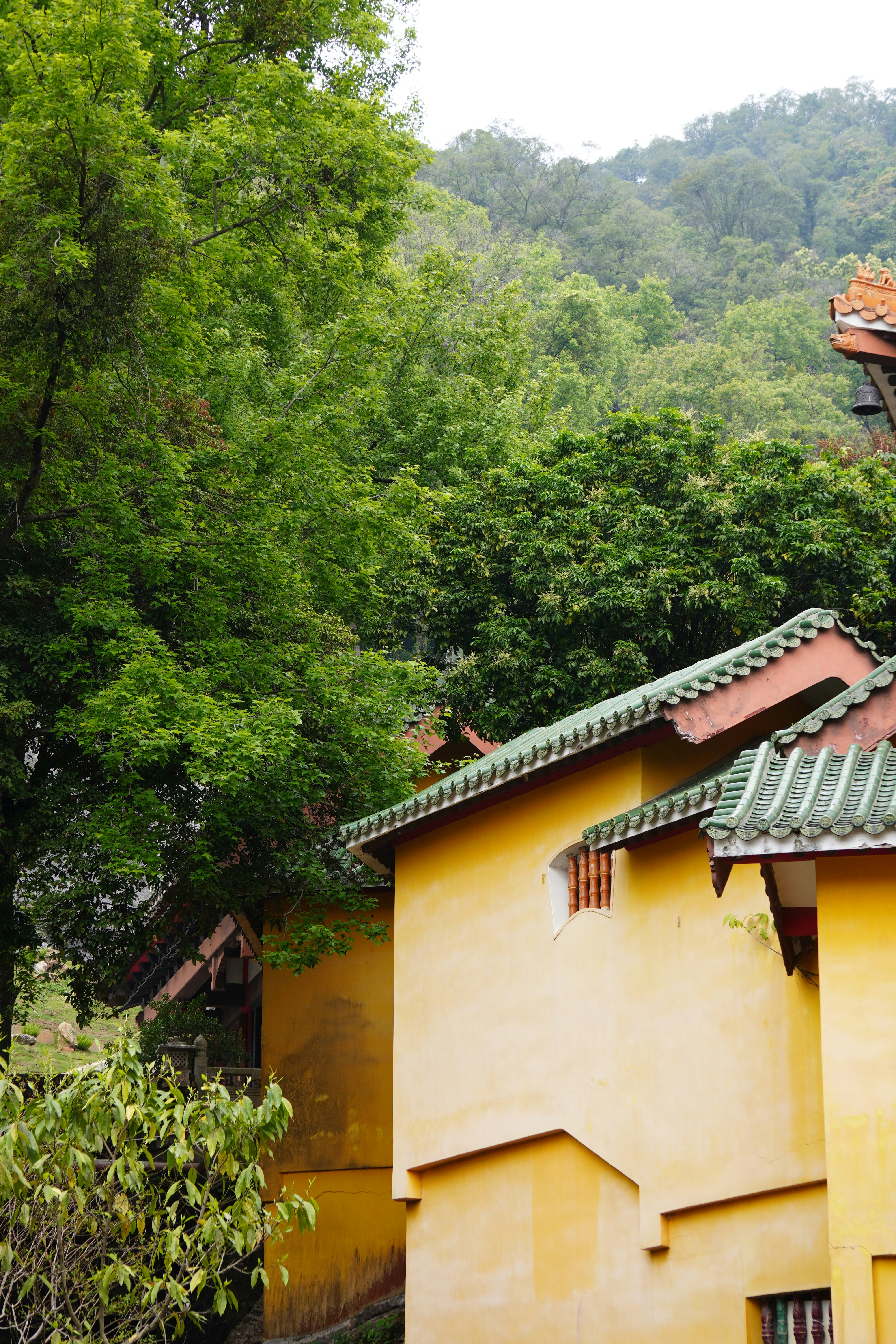 Yellow-walled temple corner tucked among lush greenery
